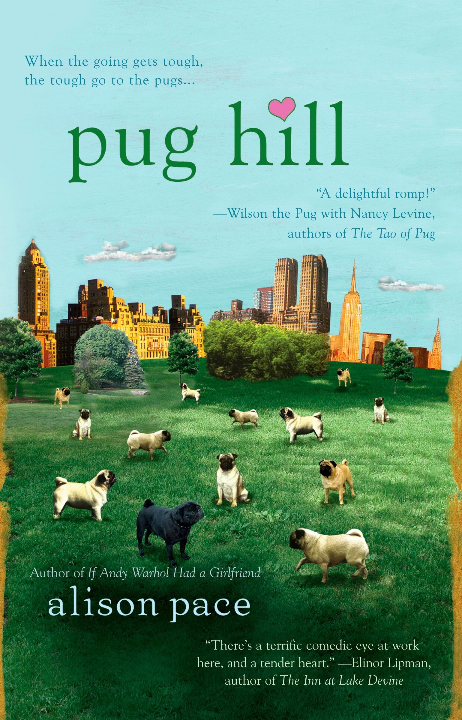 Pug Hill: Pace, Alison: 9780425209714: Amazon.com: Books