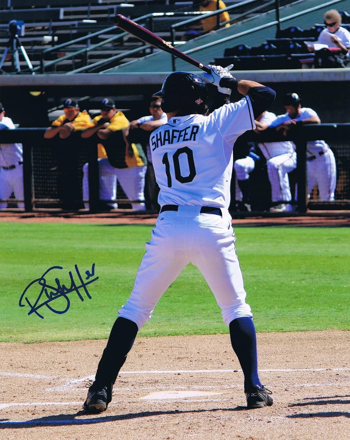 Richie Shaffer Signed 8x10 Picture Tampa Bay Rays Autograph COA at ...