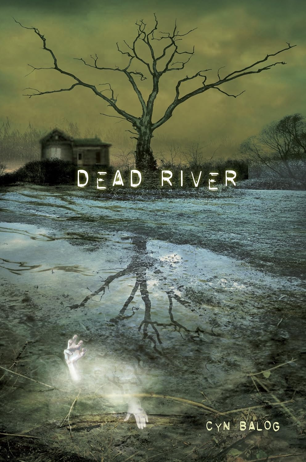 Amazon.com: Dead River: 9780385741583: Balog, Cyn: Books