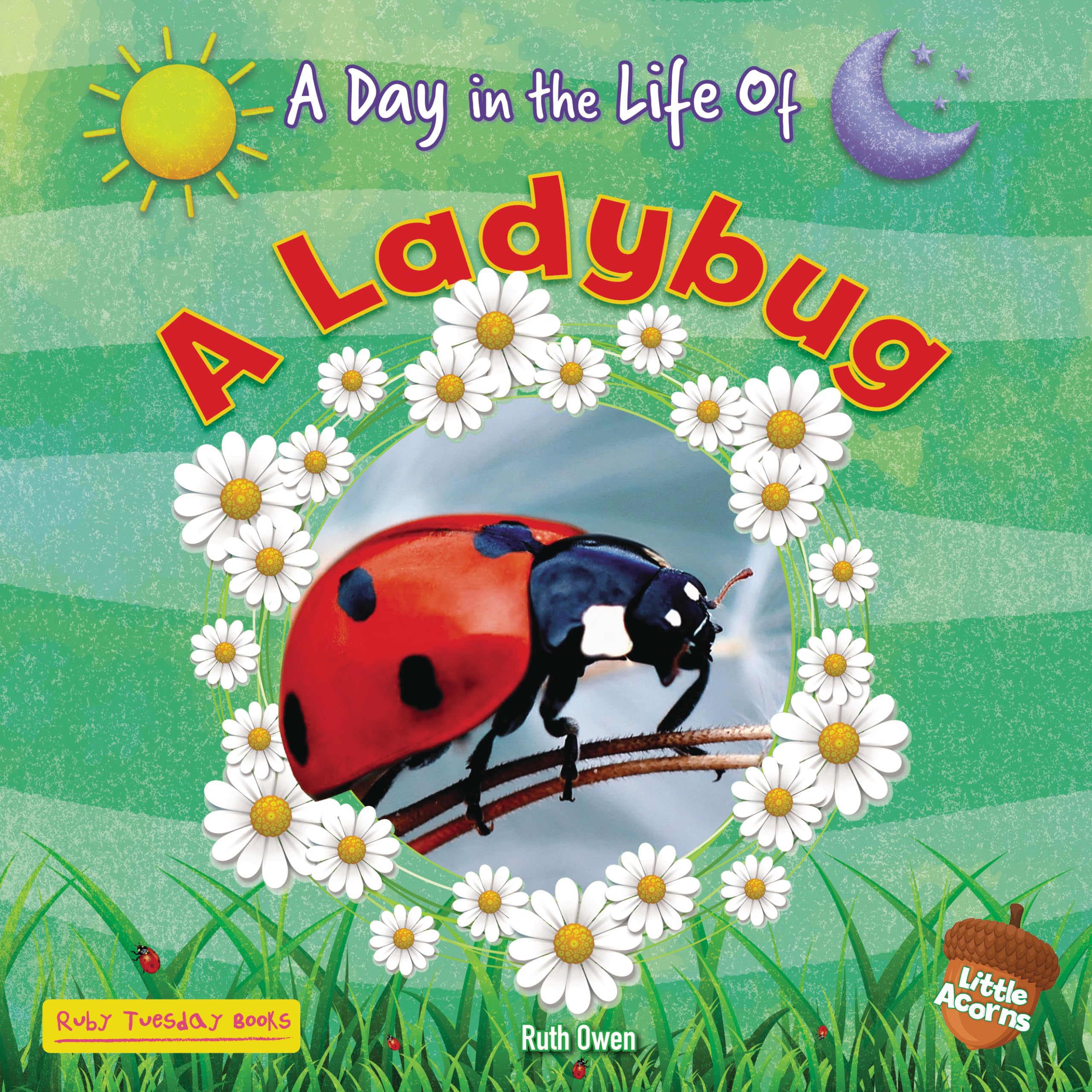A Ladybug (A Day in the Life Of): Owen, Ruth: 9781788564984: Amazon.com ...