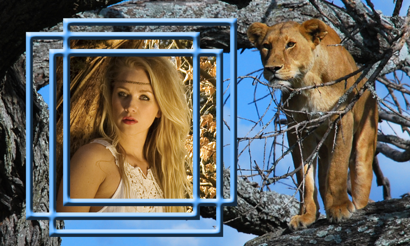 Lion Photo Frames:Amazon.com:Appstore for Android