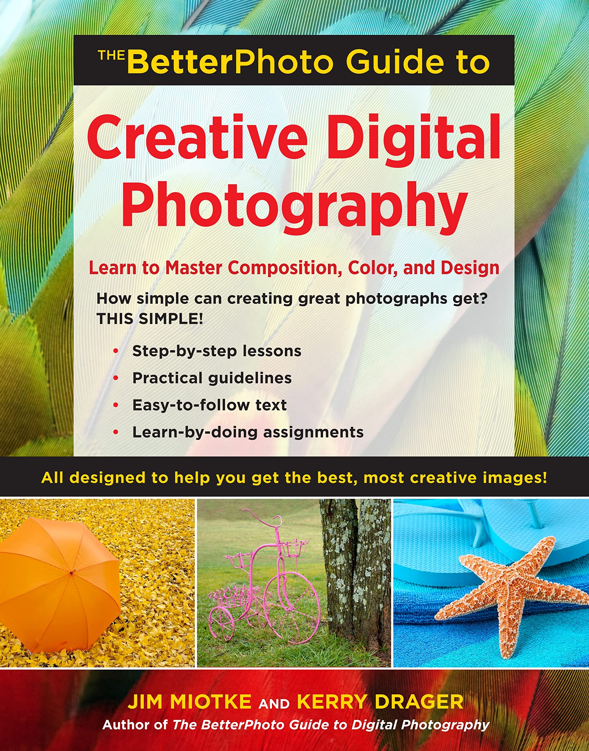 The BetterPhoto Guide to Creative Digital Photography: Learn to Master ...