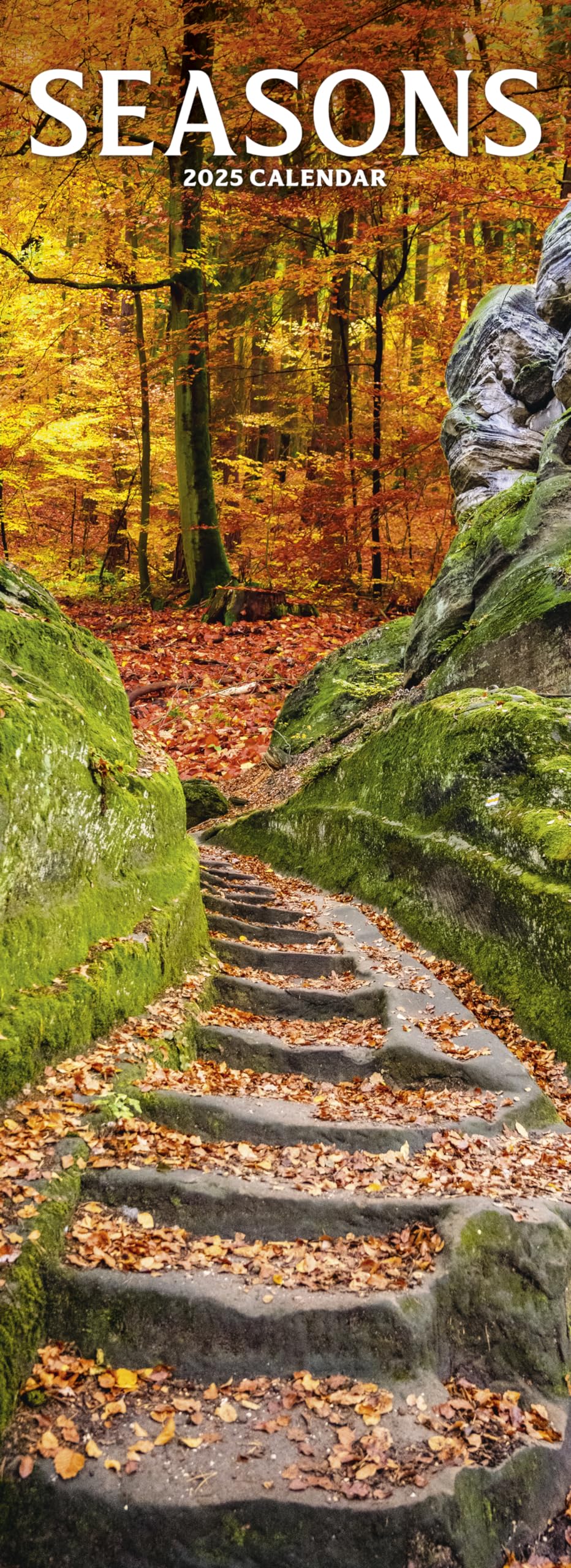 Seasons Slim 2025 Slimline Wall Calendar | Nature Calendar: Original ...