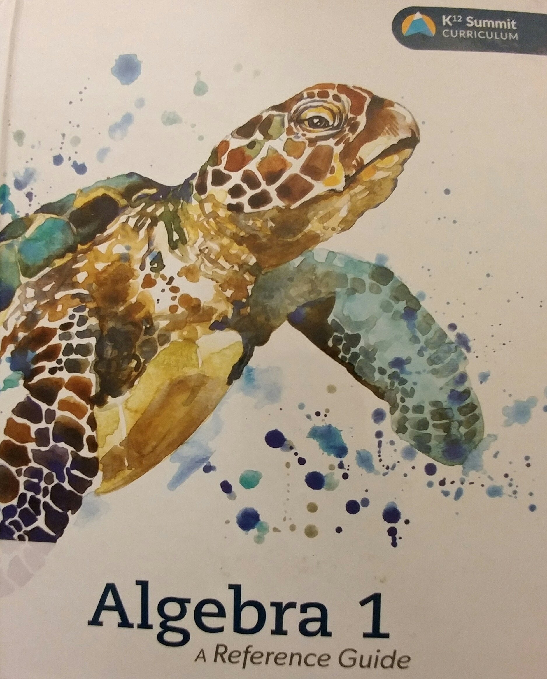 Algebra 1 A Reference Guide K12 Summit Curriculum: K12 Summit ...