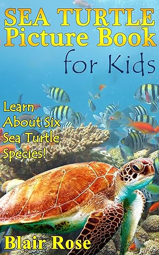 Sea Turtle Picture Book For Kids: Learn About Six Sea Turtle Species ...