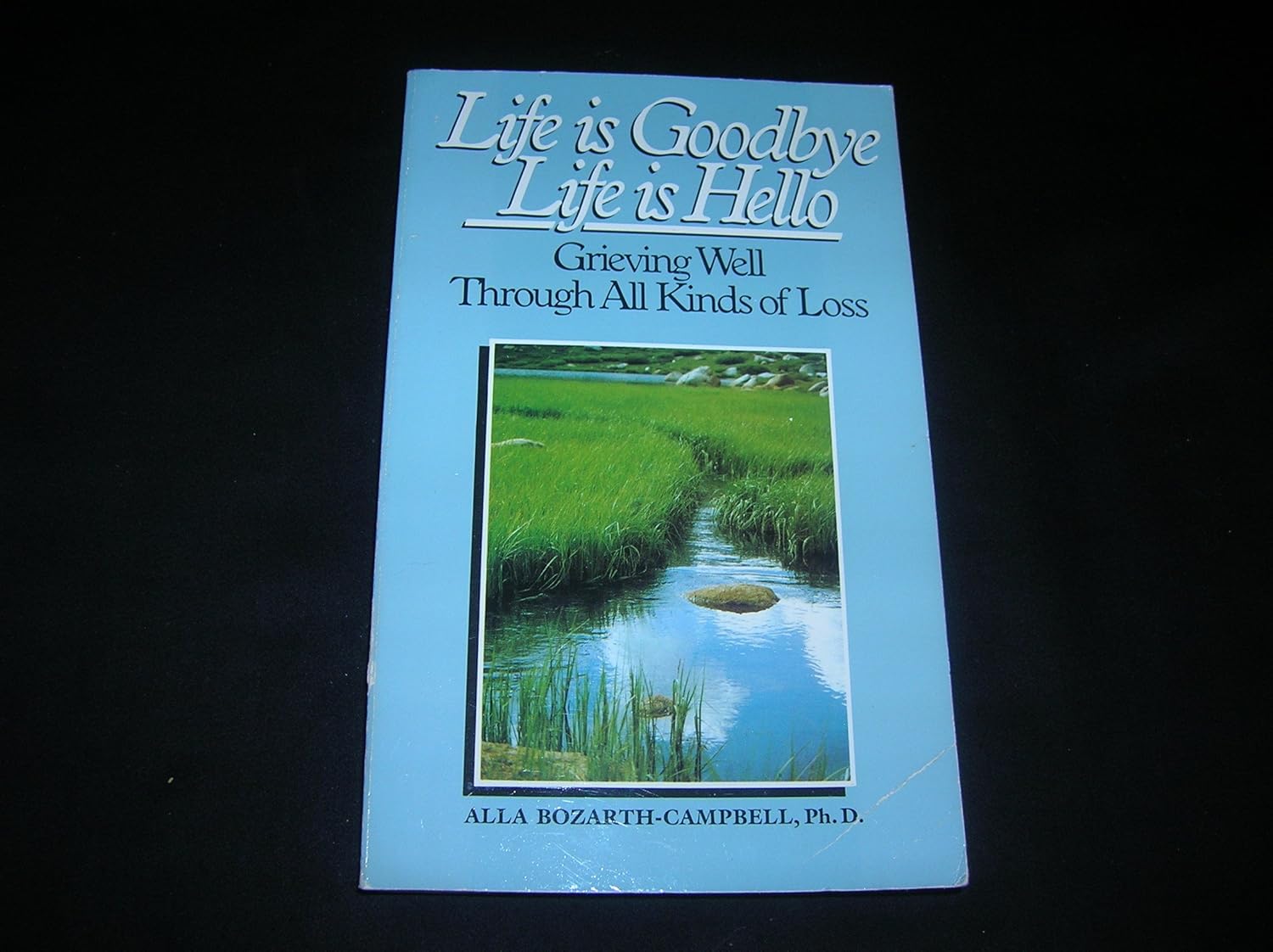 Life is Goodbye, Life is Hello: Bozarth, Alla Renee: 9780896381155 ...