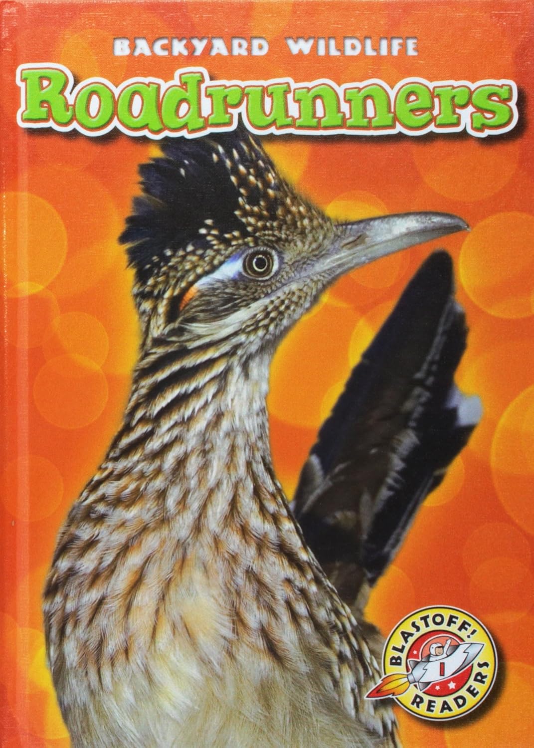 Roadrunners (Blastoff! Readers: Backyard Wildlife: Level 1 (Library ...