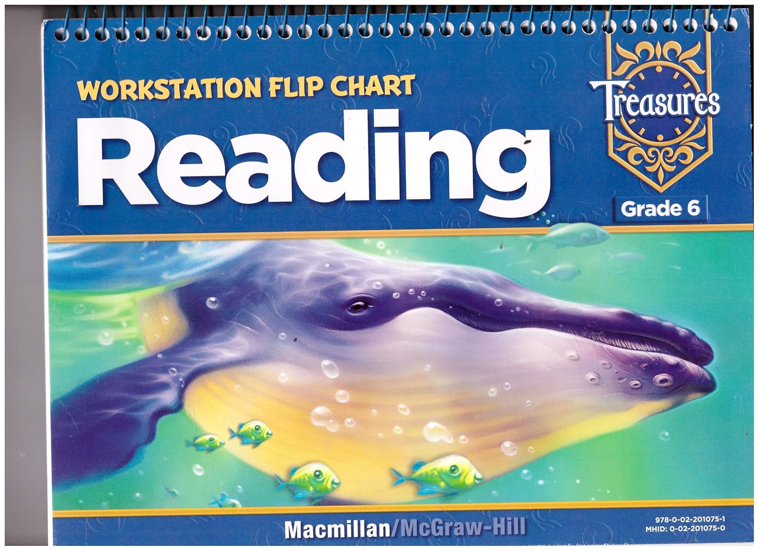 Treasures Workstation Flip Chart Reading Grade 6: Macmillan: 9780022010751: Amazon.com: Books