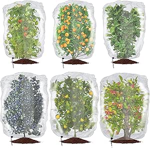 Amazon.com : 6 Pcs Insect Bird Barrier Tree Net with Drawstring, 2 Sizes Garden Bird Netting ...