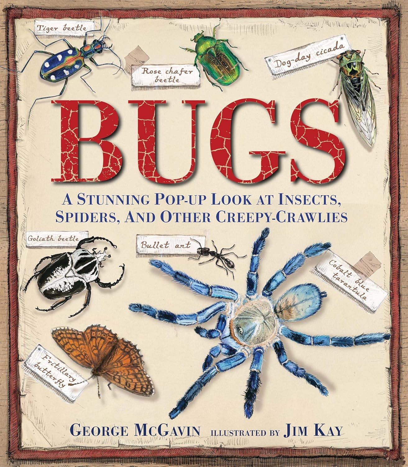 Bugs: A Stunning Pop-up Look at Insects,... by McGavin, George