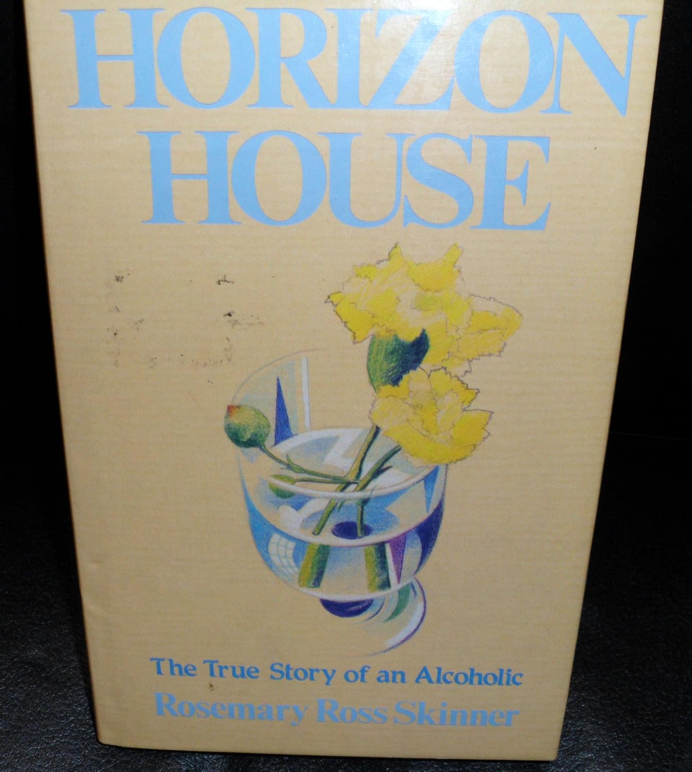 Horizon House: The True Story of an Alcoholic: Skinner, Rosemary Ross ...