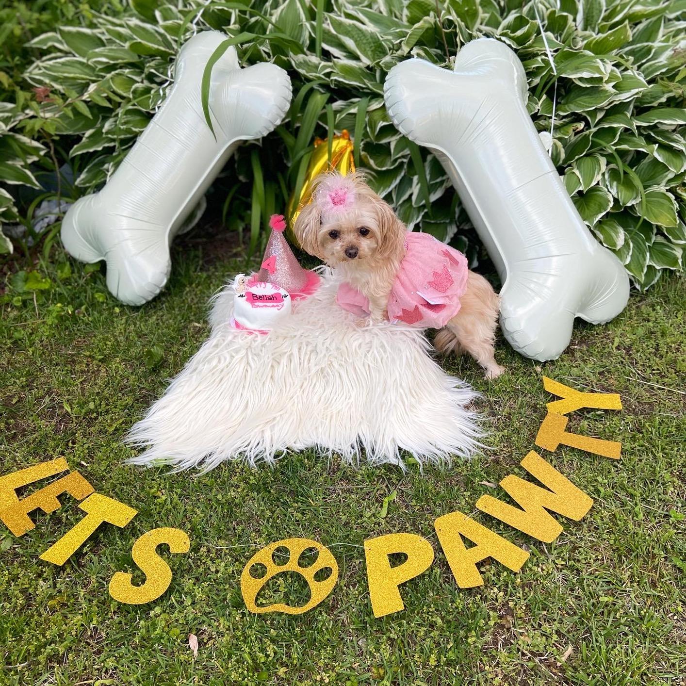 Amazon.com: 2pcs Foil Balloons Cute Bone Shape Balloons Large Helium ...