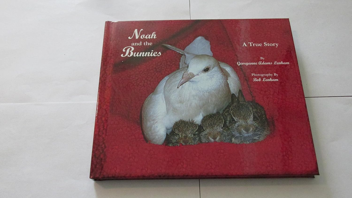 Noah and the Bunnies: Georganne Adams Lenham: Amazon.com: Books