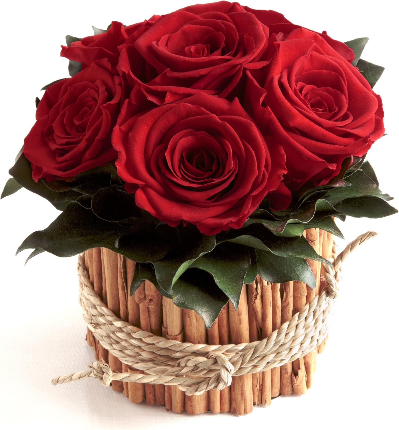 Rosen Lange Haltbar