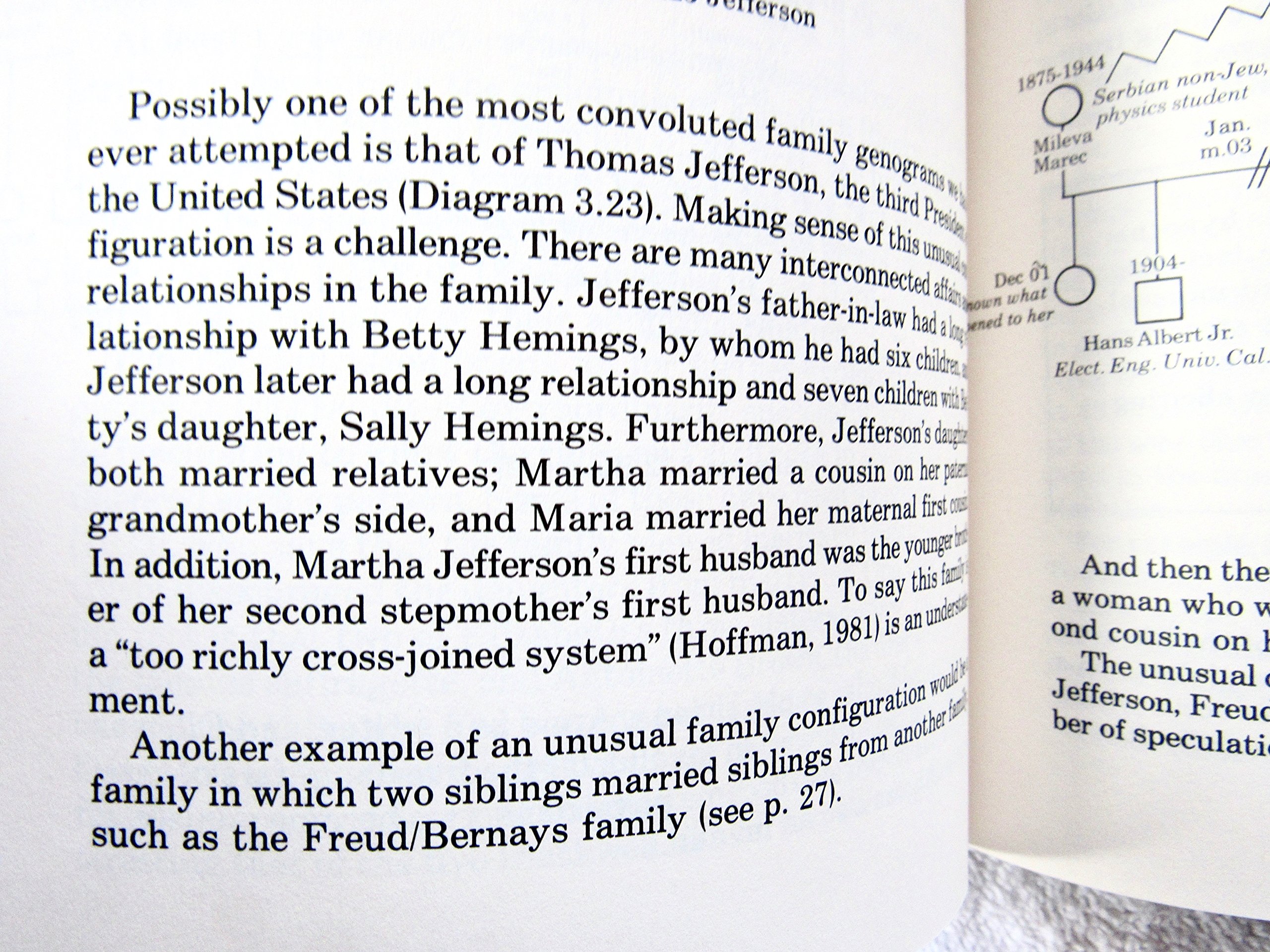 Amazon.com: Genograms in Family Assessment: 9780393700022: McGoldrick ...