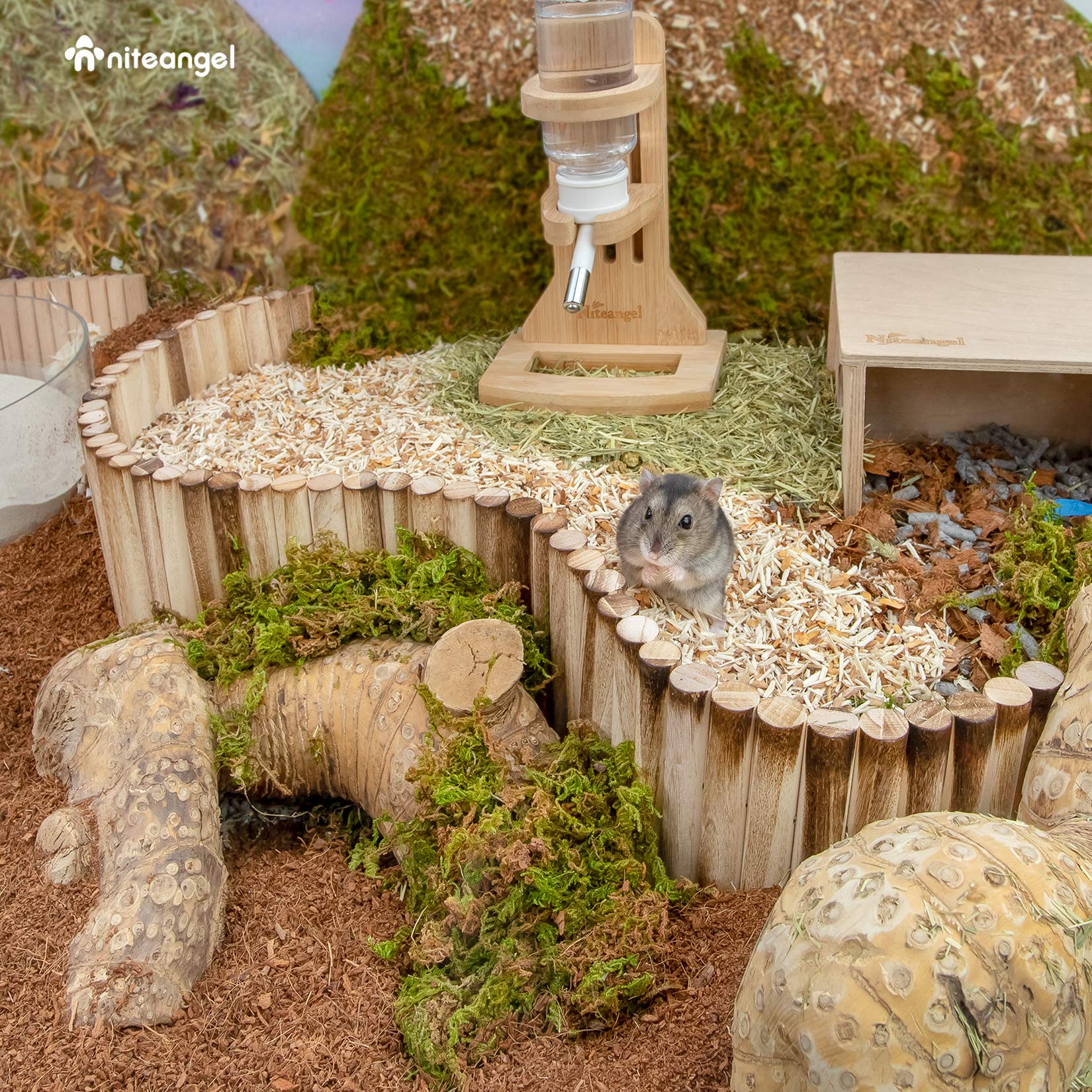 Snapklik.com : Niteangel Small Animal Climbing Toys - Suspension Bridge ...