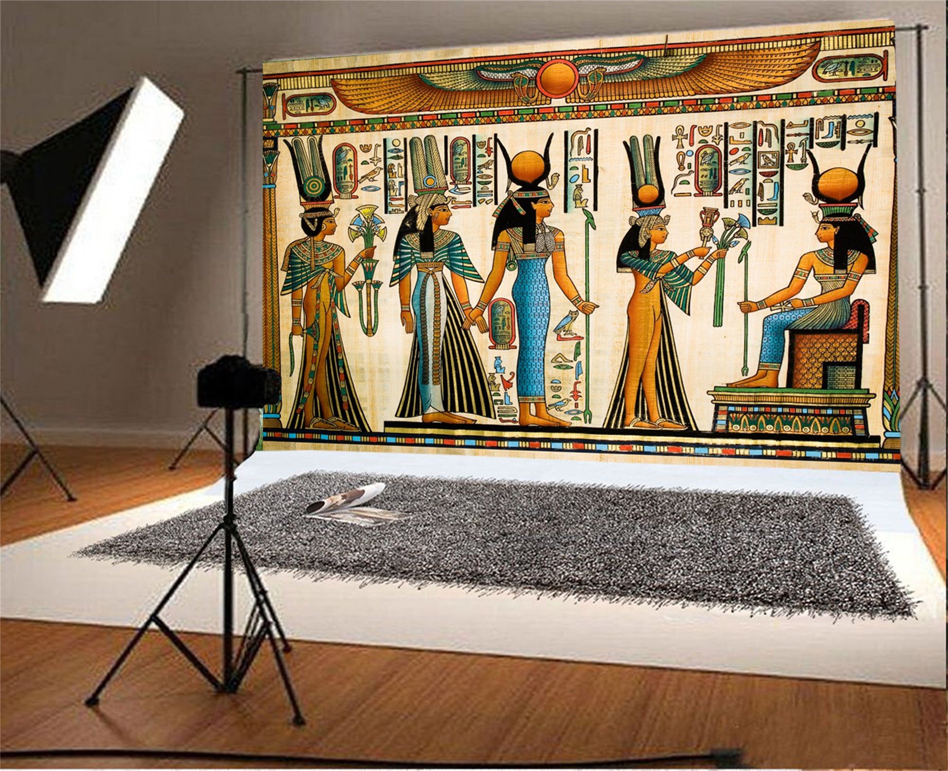 Buy AOFOTO 12x10ft Ancient Egyptian Mural Backdrop Papyrus Painting ...