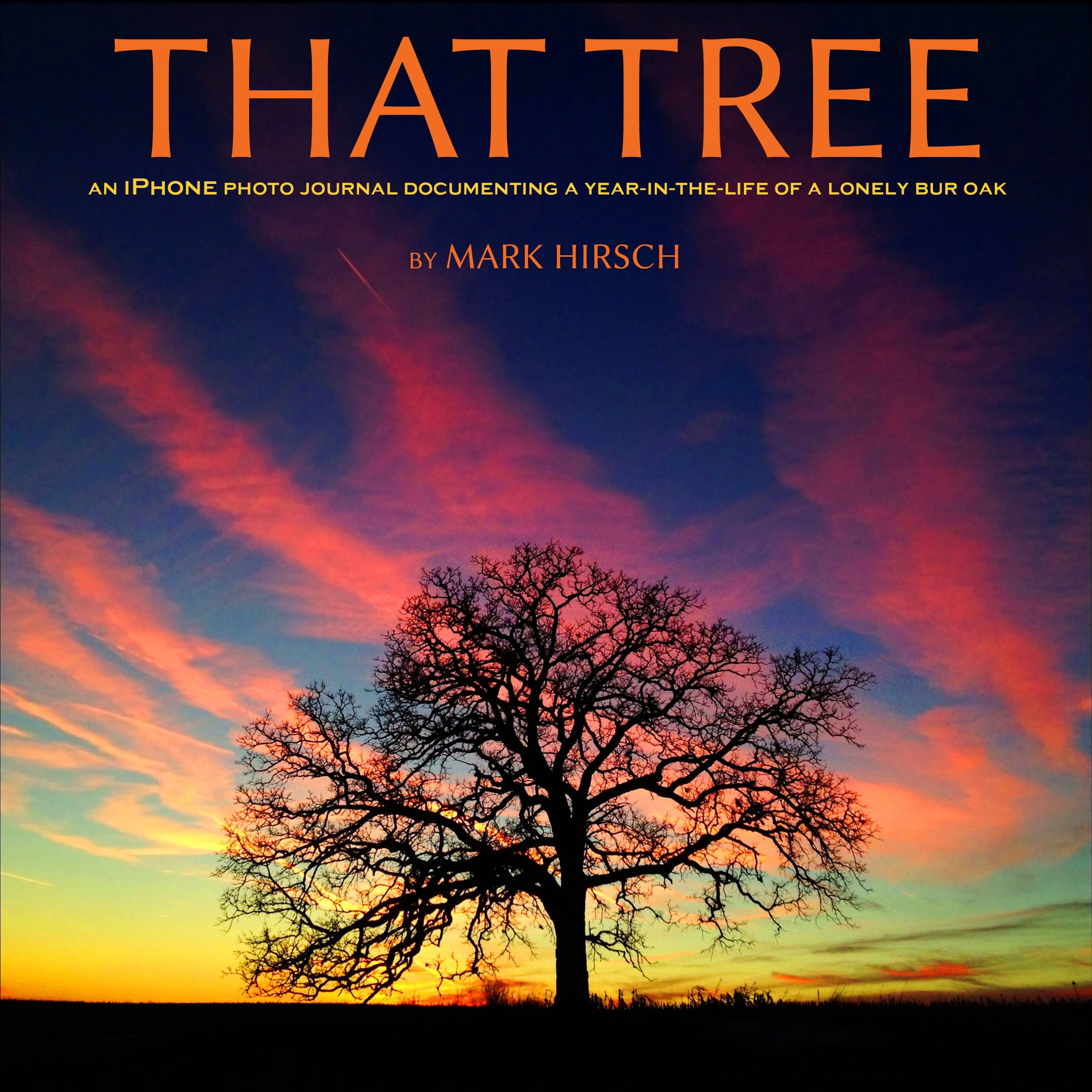 That Tree (That Tree : An iPhone Photo Journal Documenting a Year in ...