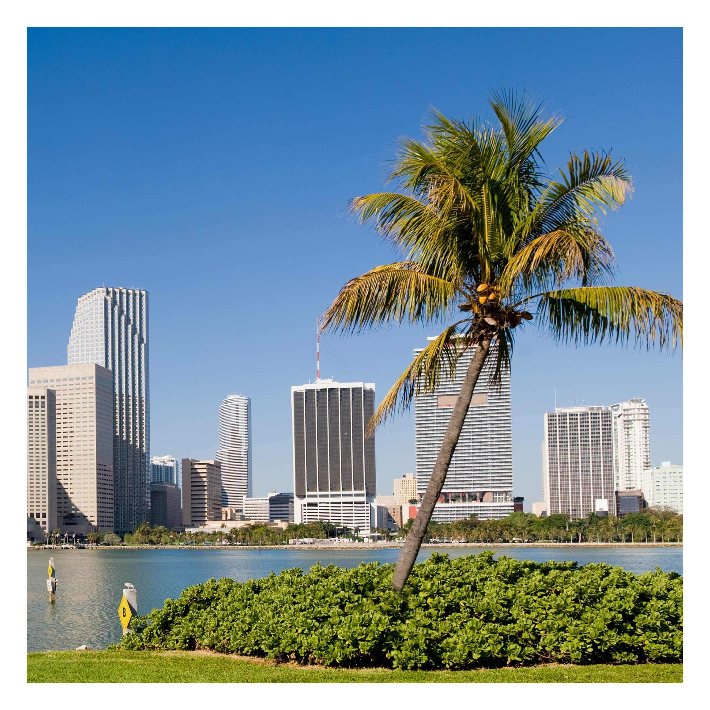 Miami Beach Skyline Wallpaper