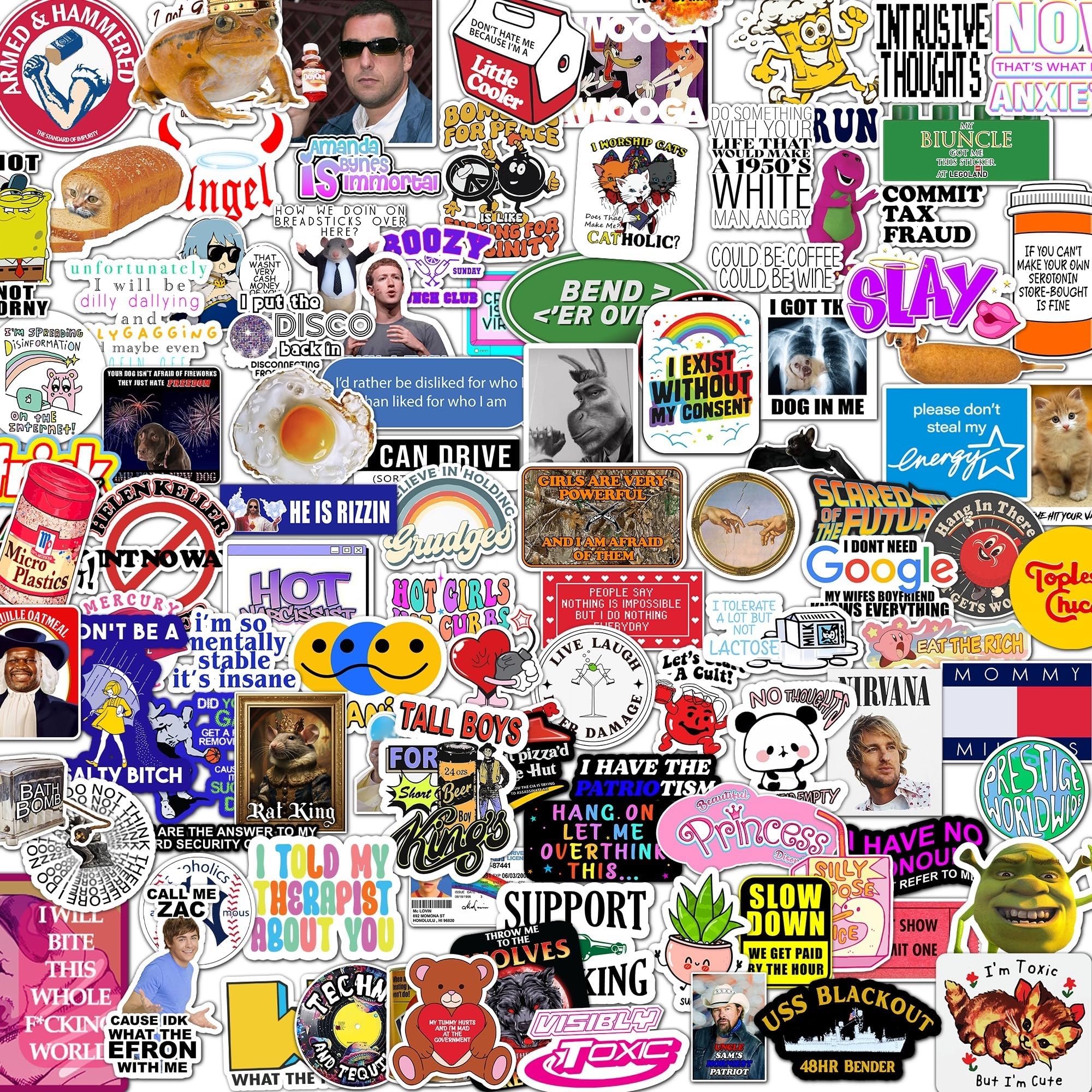 Amazon.com: 100pcs Funny Stickers Teens/Adults, Meme, Large Sticker ...