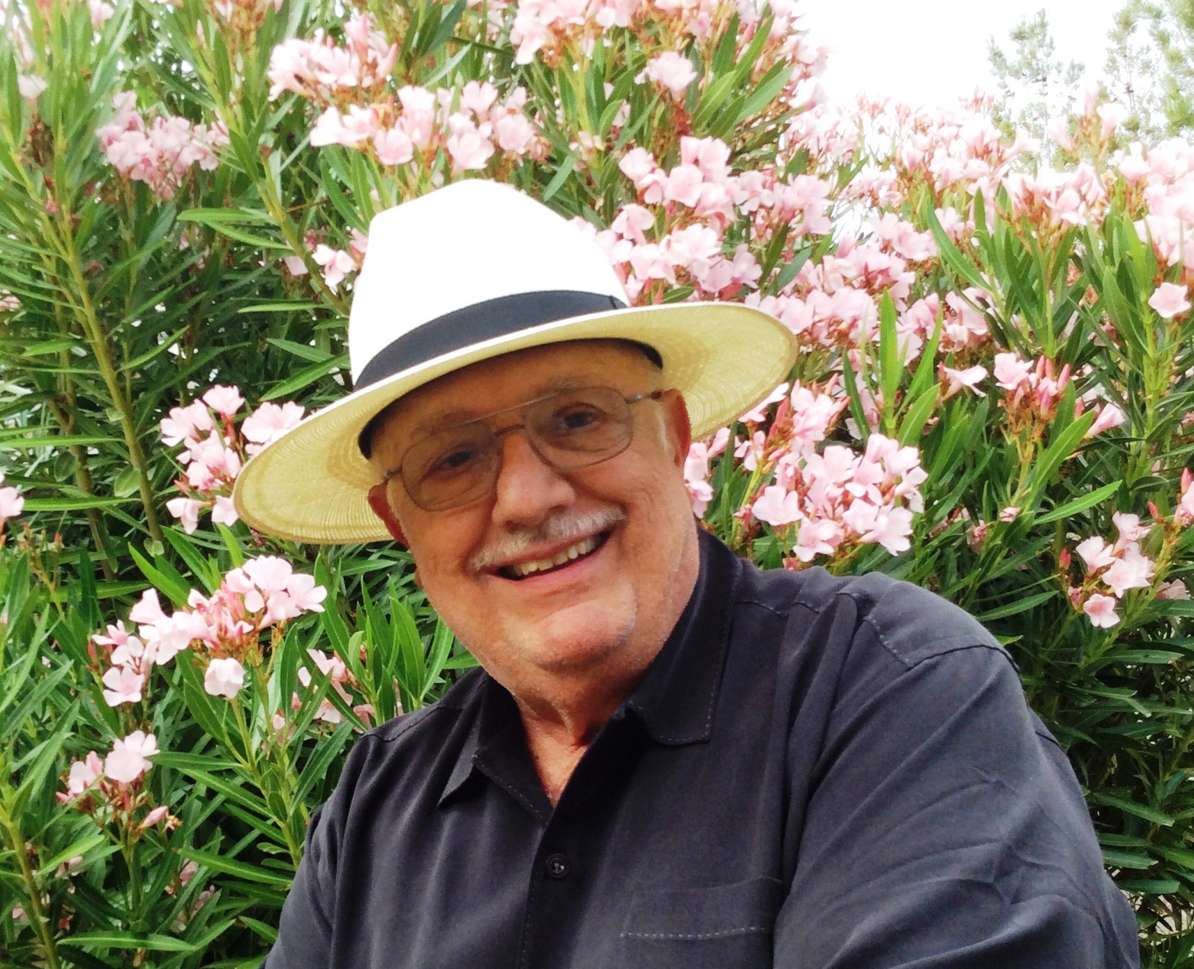 Amazon.com: Michael D Mercurio: books, biography, latest update