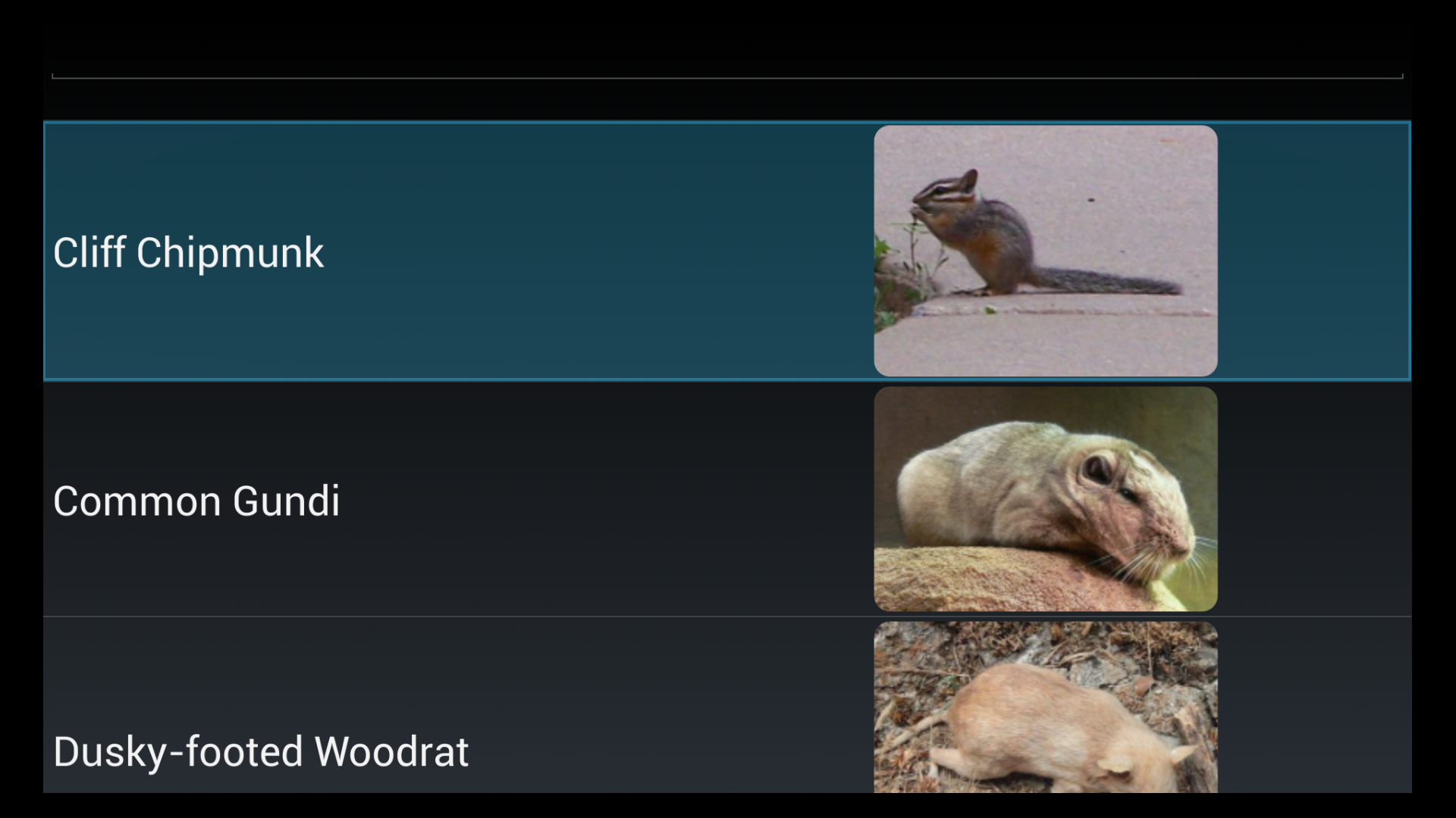 Rodent Species Trivia Quiz - App on Amazon Appstore