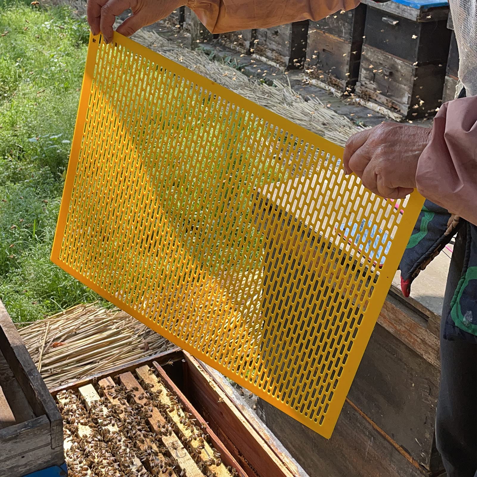 Beekeeping 6 Frame Queen Excluder -, 4PCS, Queen Bee Excluder ...