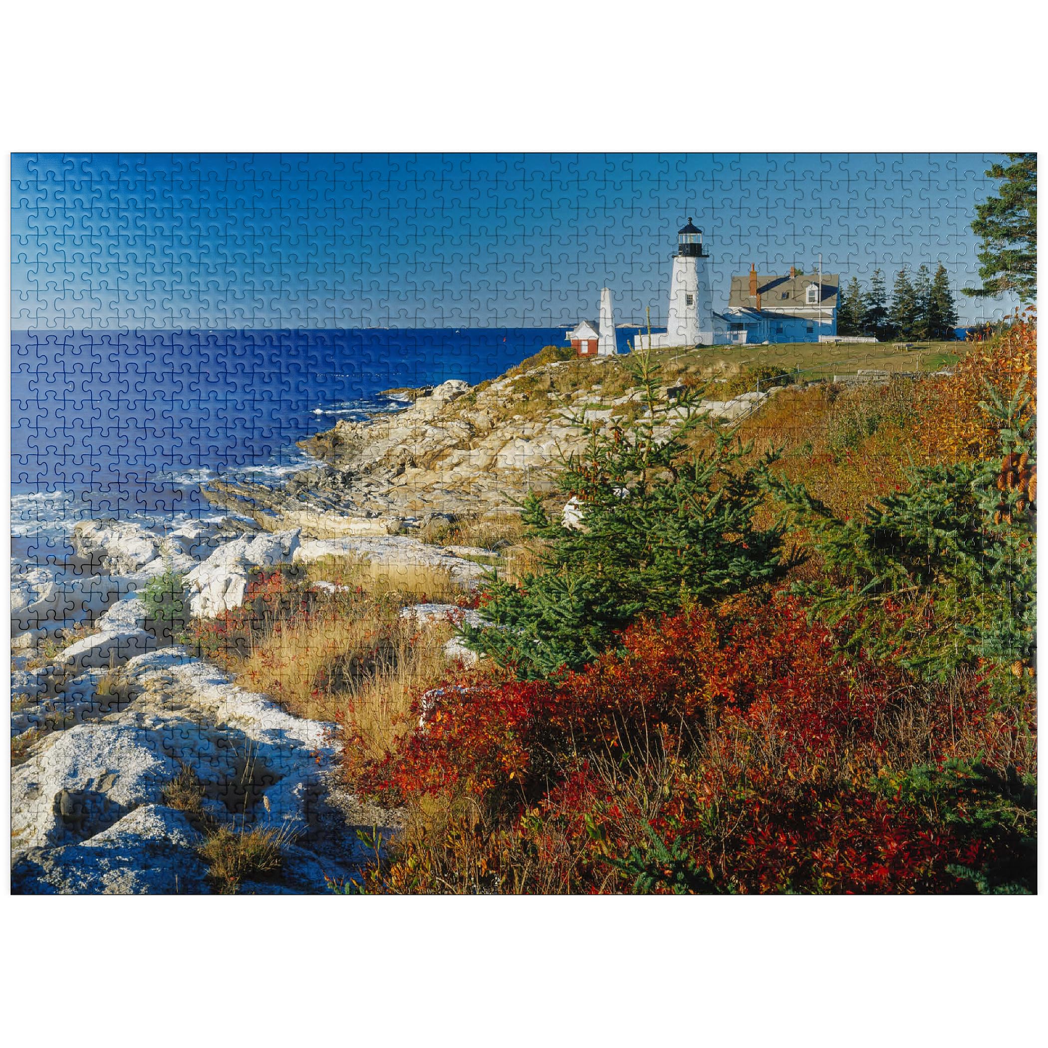 Amazon.com: MyPuzzle Lighthouse at Pemaquid Point, Maine, USA - Premium ...