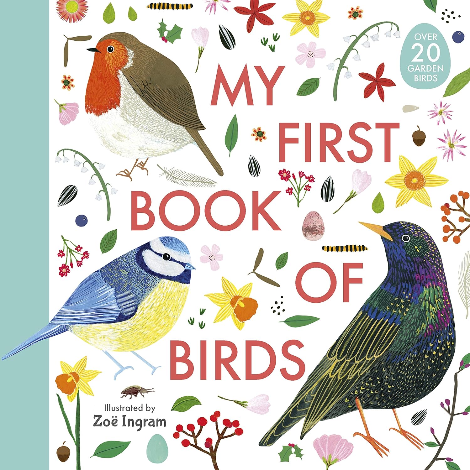 My First Book of Birds: Amazon.co.uk: Ingram, Zoë: 9781406386790: Books