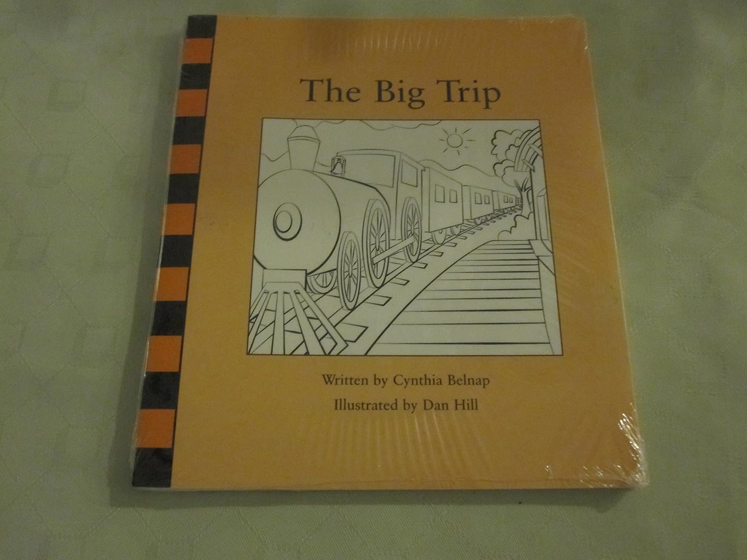 The Big Trip 5 pack: Cynthia Belnap, Dan Hill: Amazon.com: Books
