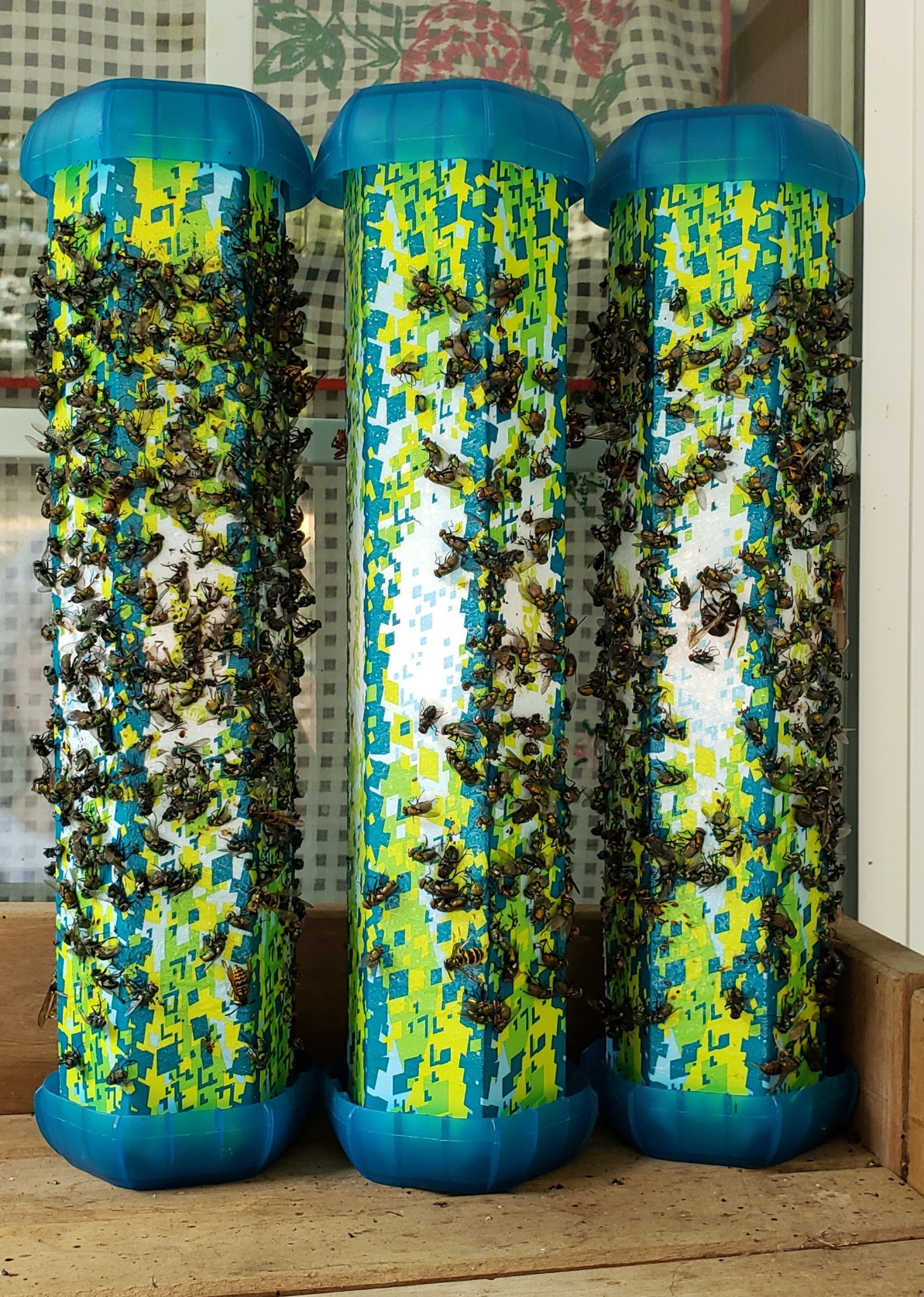 Amazon.com : RESCUE! TrapStik for Flies – Indoor Hanging Fly Trap - 8 ...