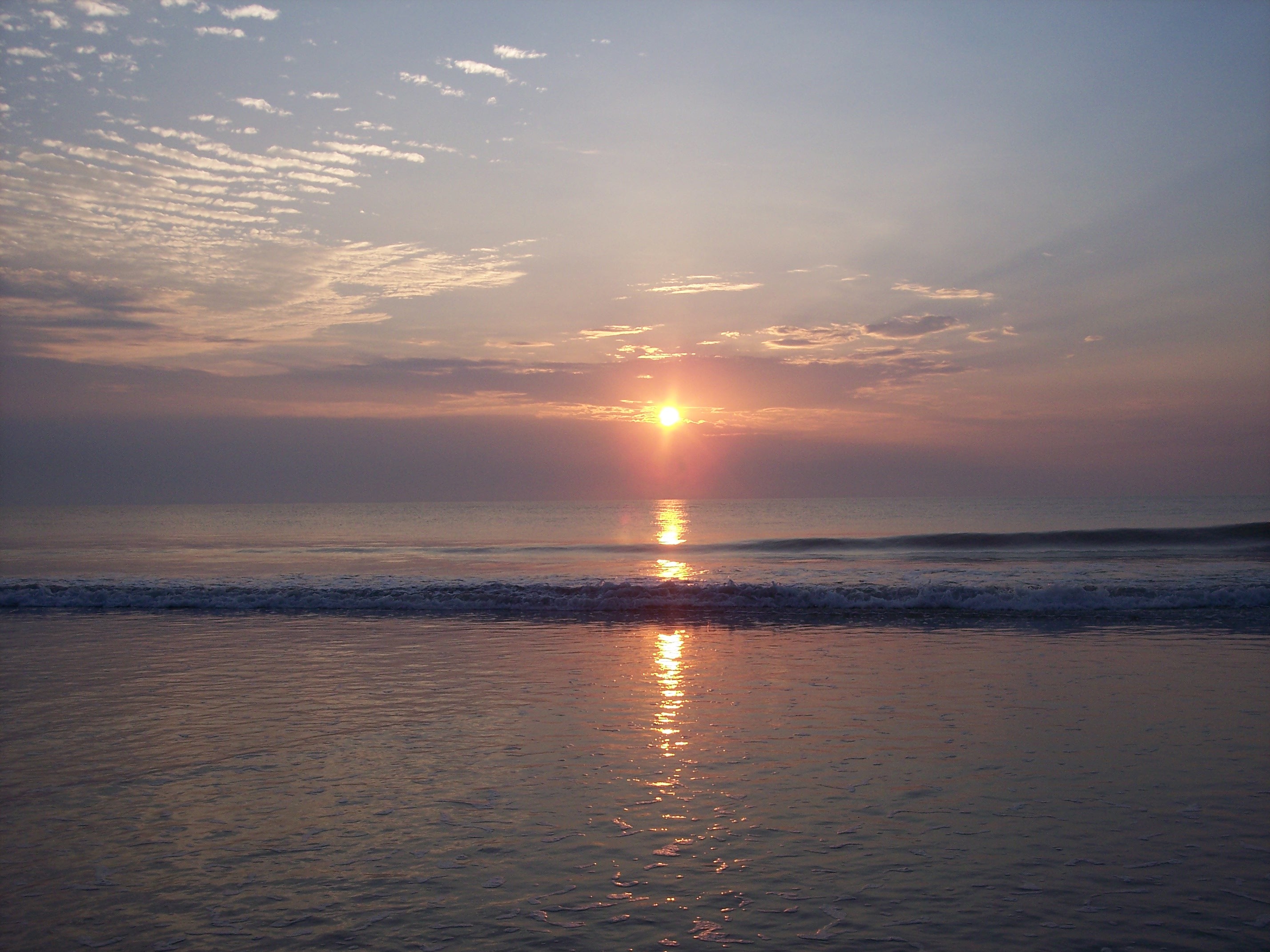 Amazon.com: Lisa Gayle: books, biography, latest update