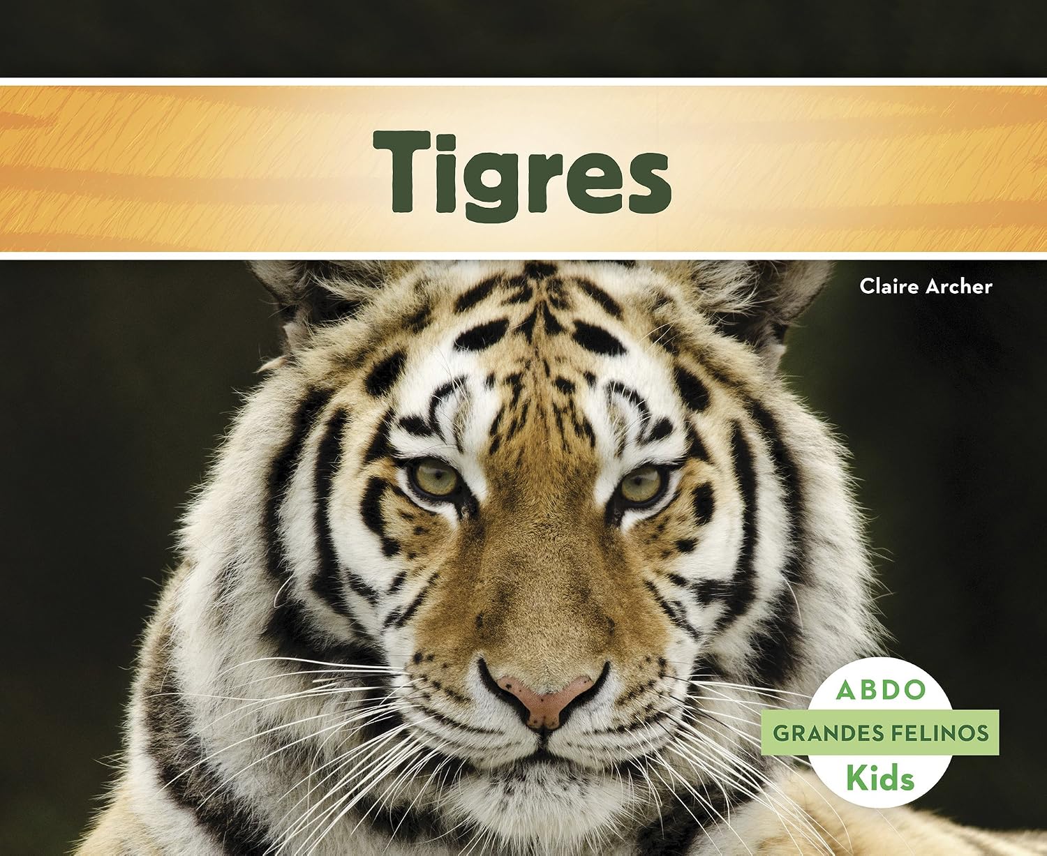Tigres (Abdo Kids: Grandes Felinos) (Spanish Edition): Archer, Claire ...