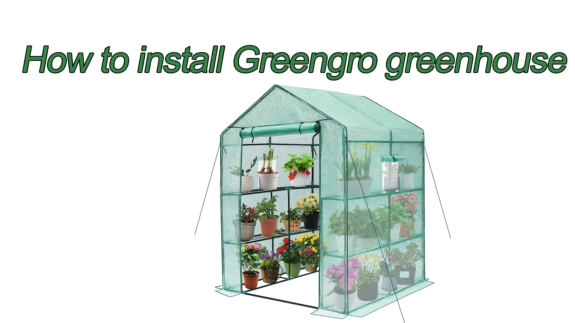 Watch How to install Greengro greenhouse on Amazon Live