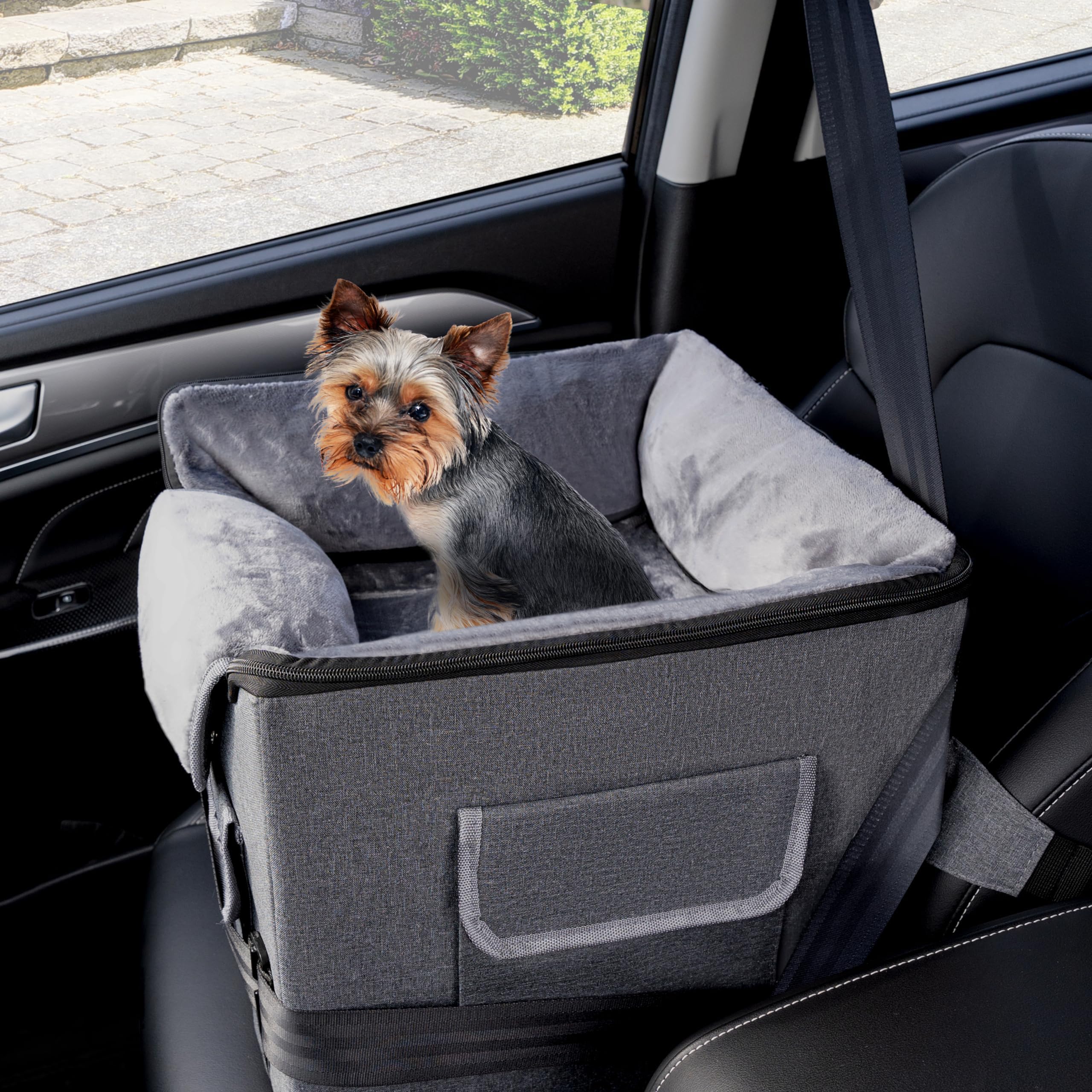 Amazon.com : Duckygoo Small Dog Booster Car Seat Elevated,Portable ...
