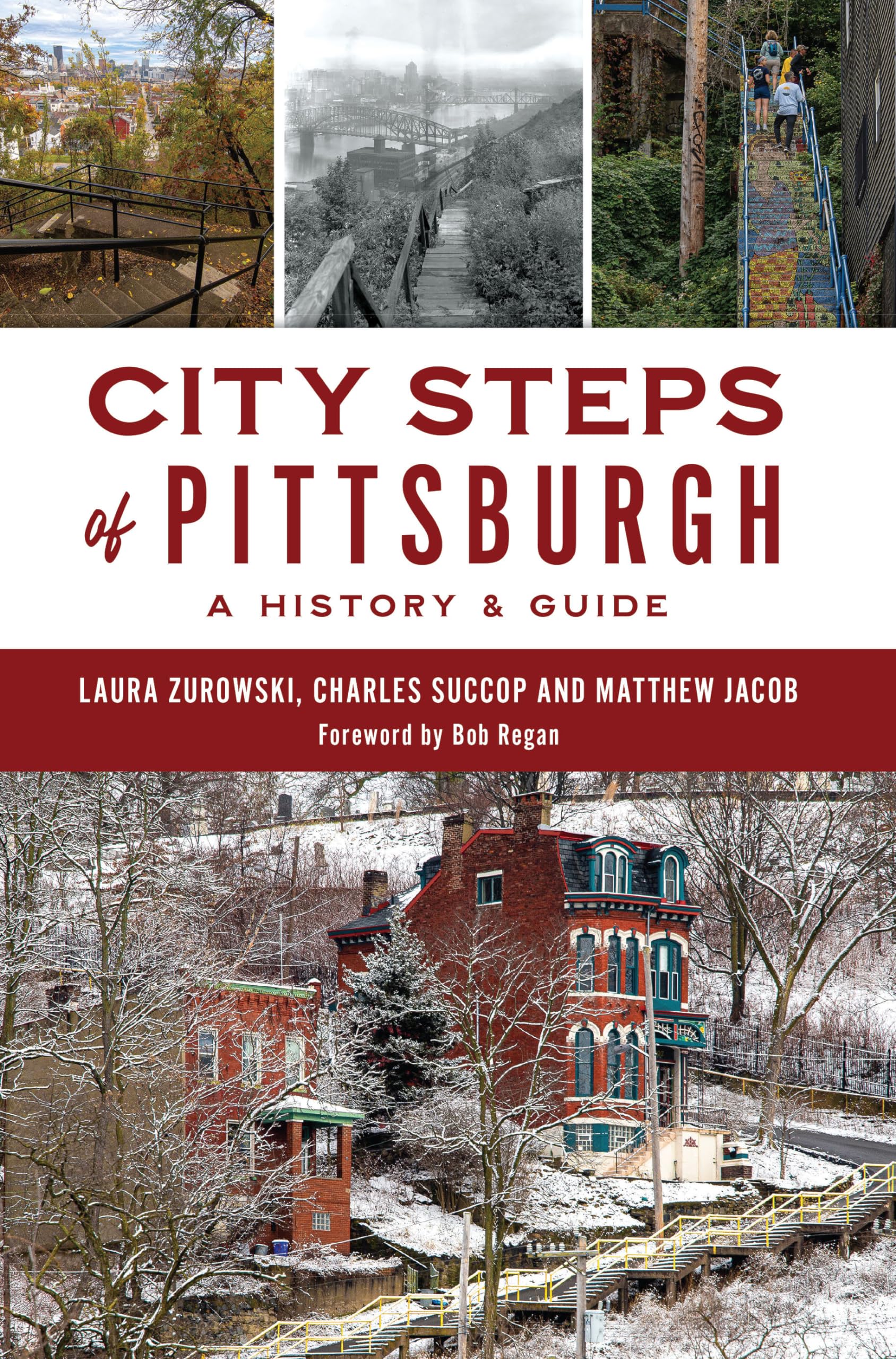 Buy City Steps of Pittsburgh: A History & Guide Online at desertcartINDIA