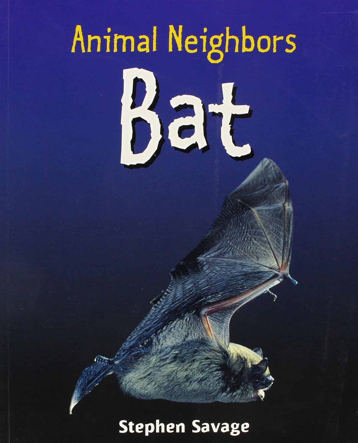 Bat (Animal Neighbors): Savage, Stephen: 9781404245723: Amazon.com: Books