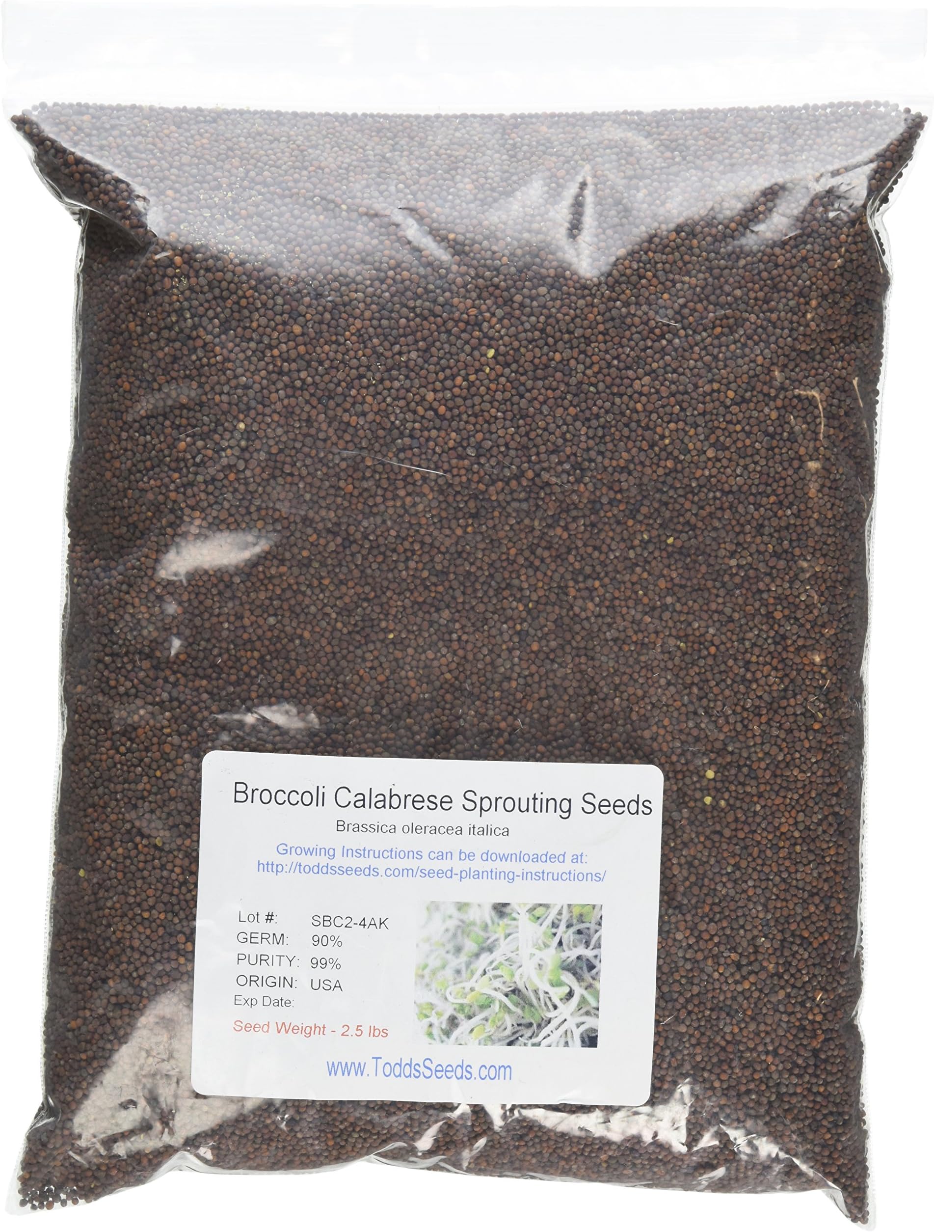 Amazon.com : Todd’s Seeds - Sprouting Broccoli Seeds - Calabrese ...