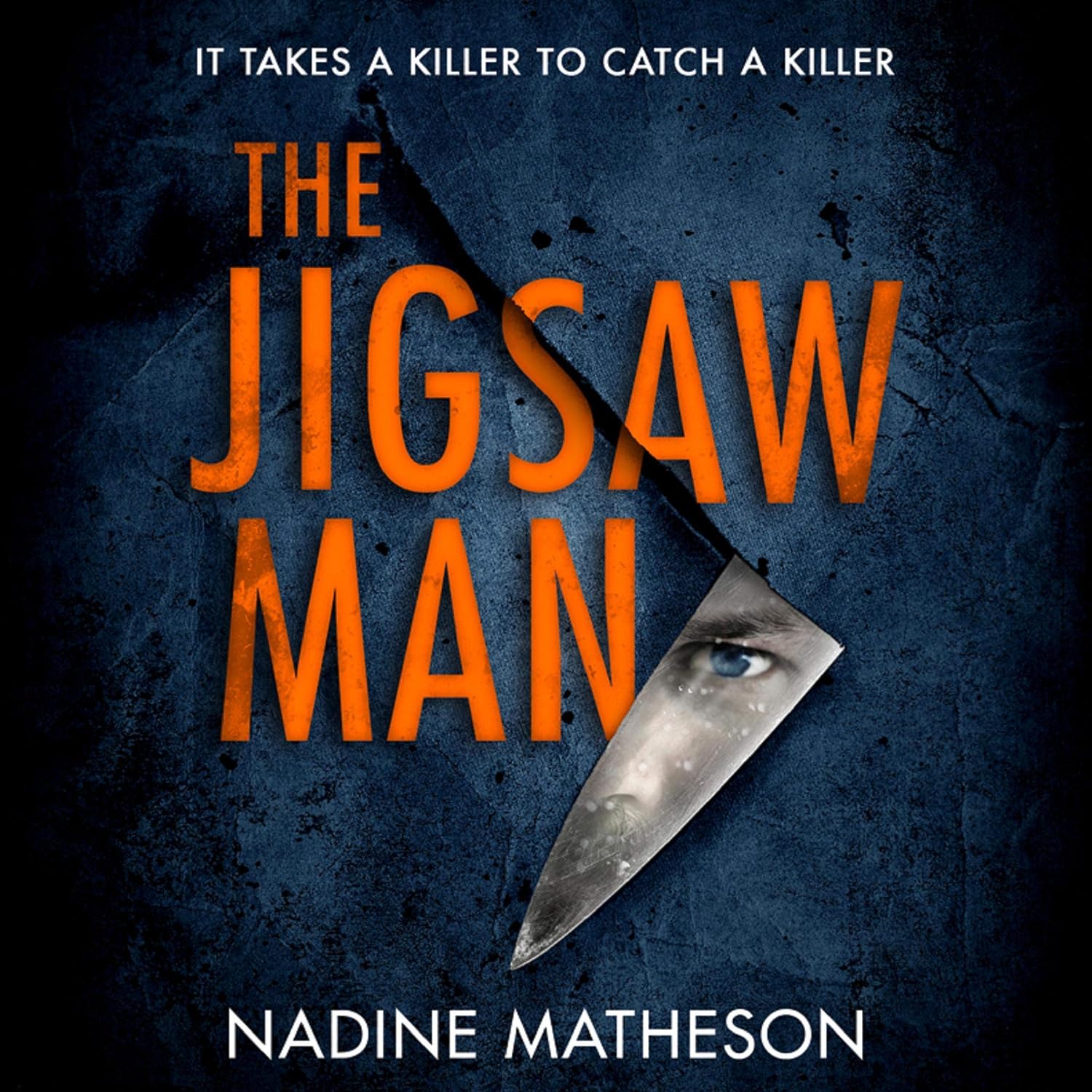 Amazon.com: The Jigsaw Man (Audible Audio Edition): Nadine Matheson ...