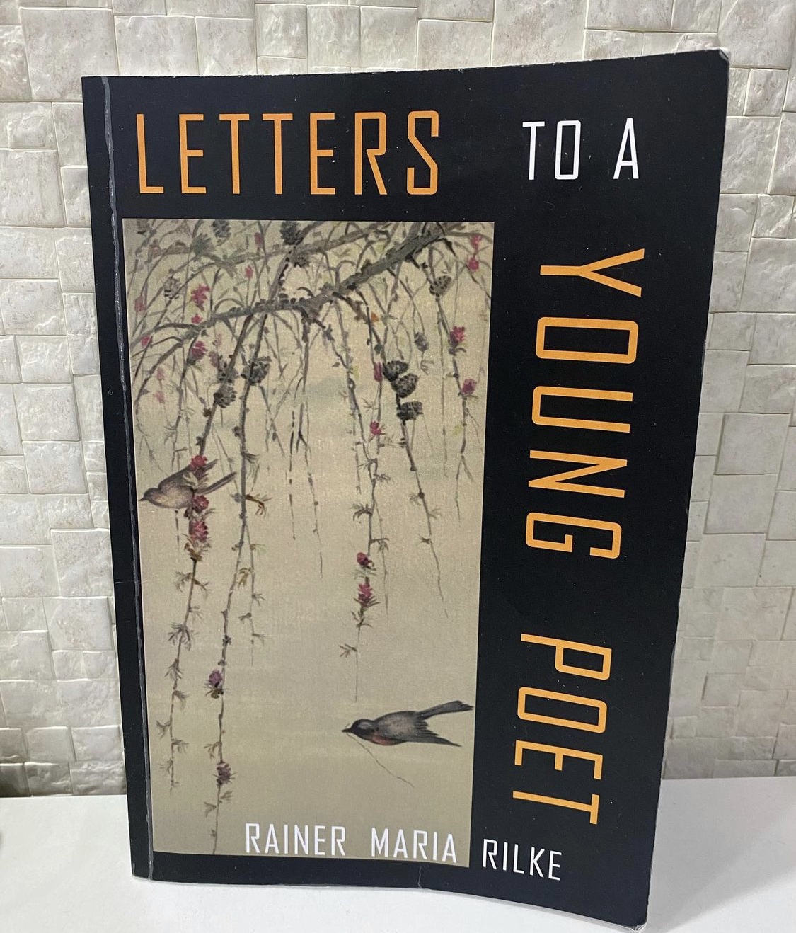 Letters to a Young Poet