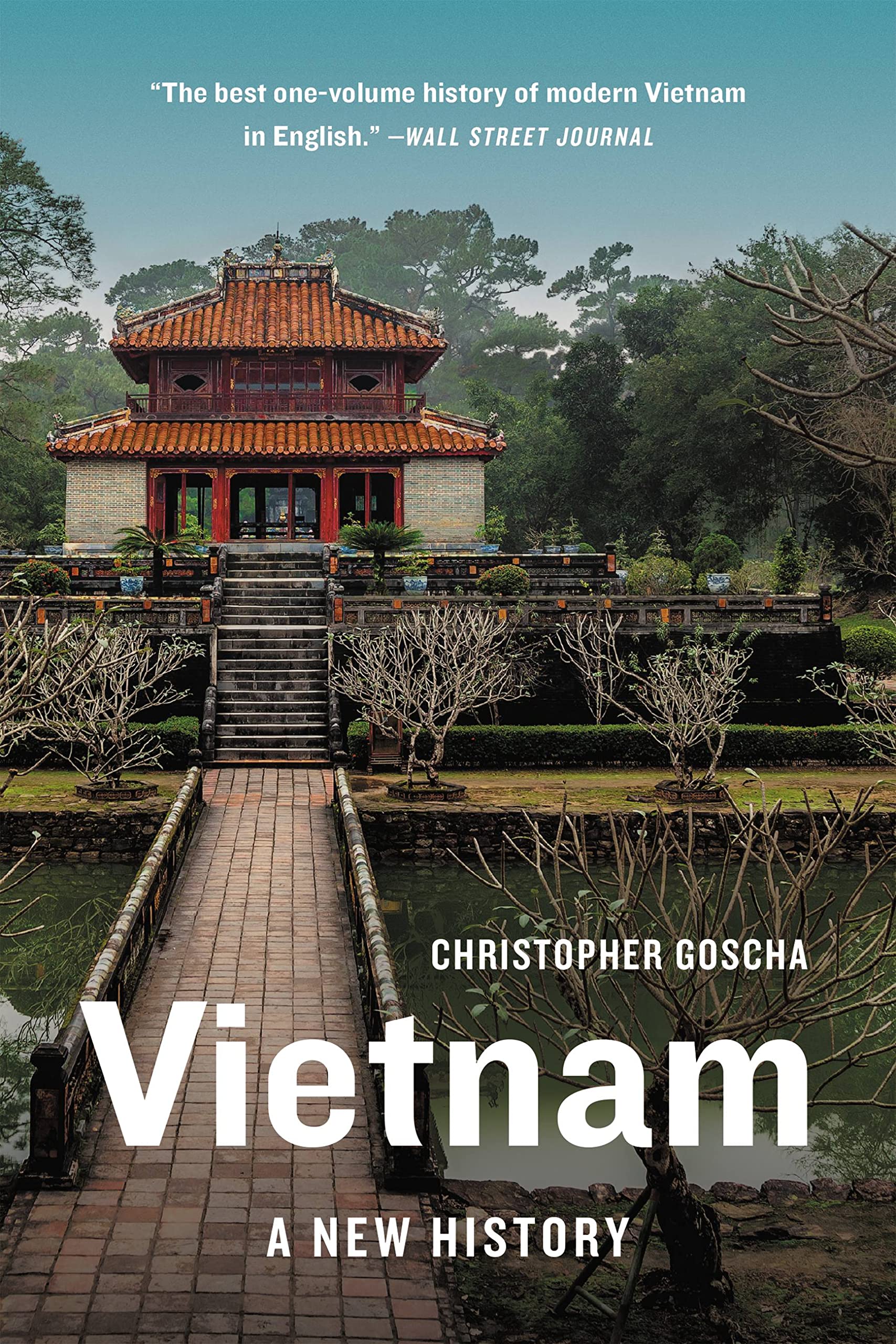 Vietnam: A New History: Goscha, Christopher: 9781541603653: Amazon.com ...