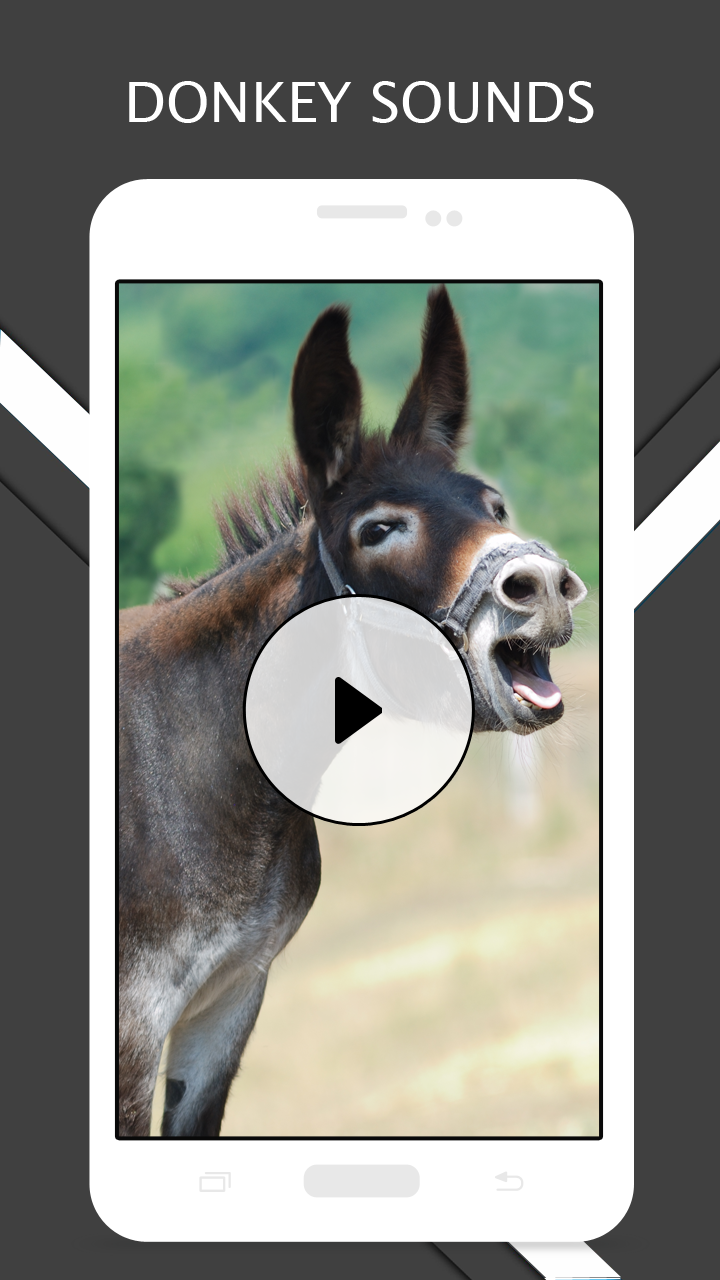 Donkey Sounds - App on Amazon Appstore