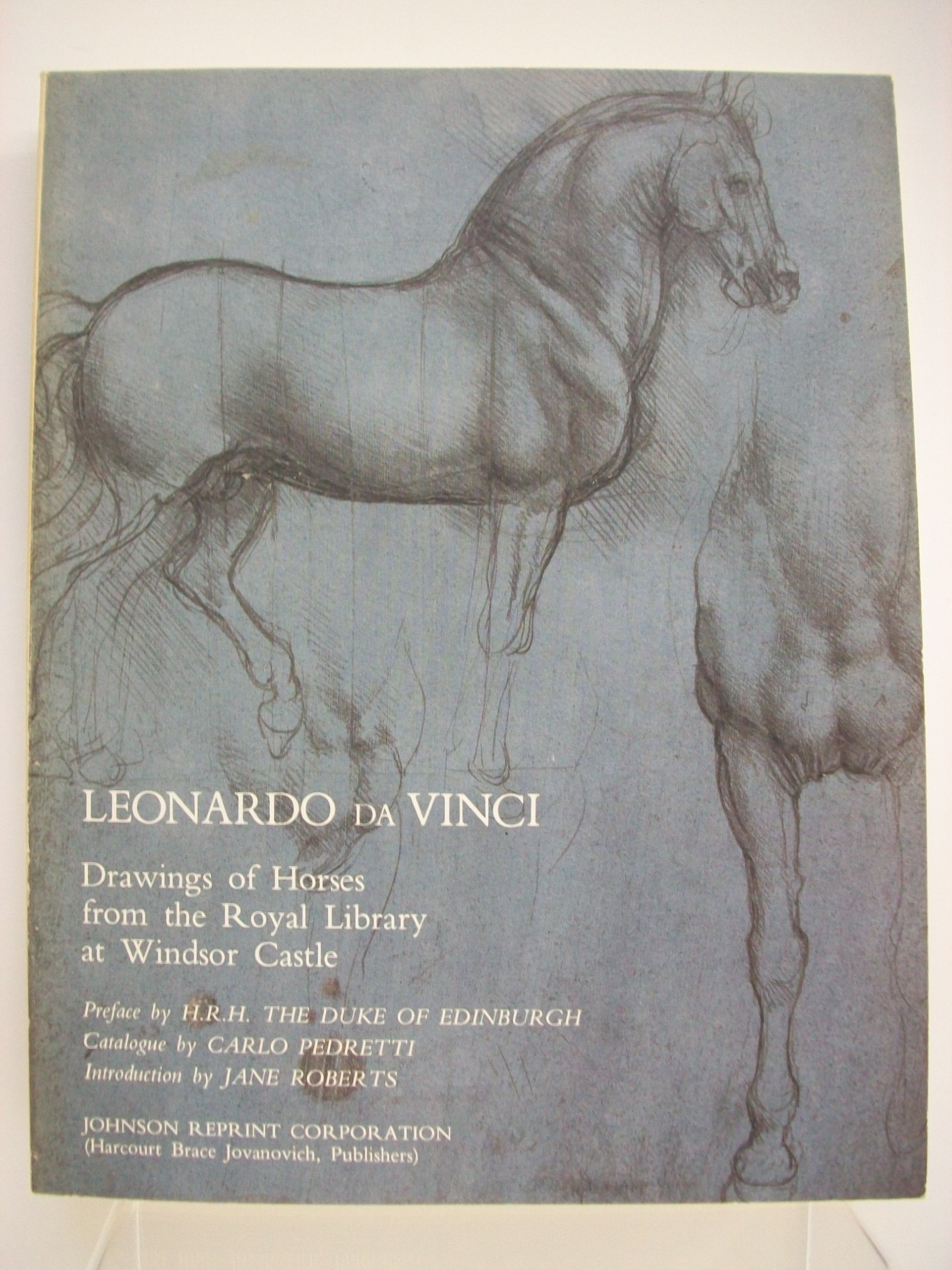 Leonardo Da Vinci Drawings Of Animals