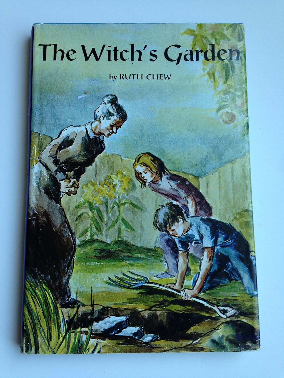 The Witch's Garden: Chew, Ruth: 9780803880931: Amazon.com: Books