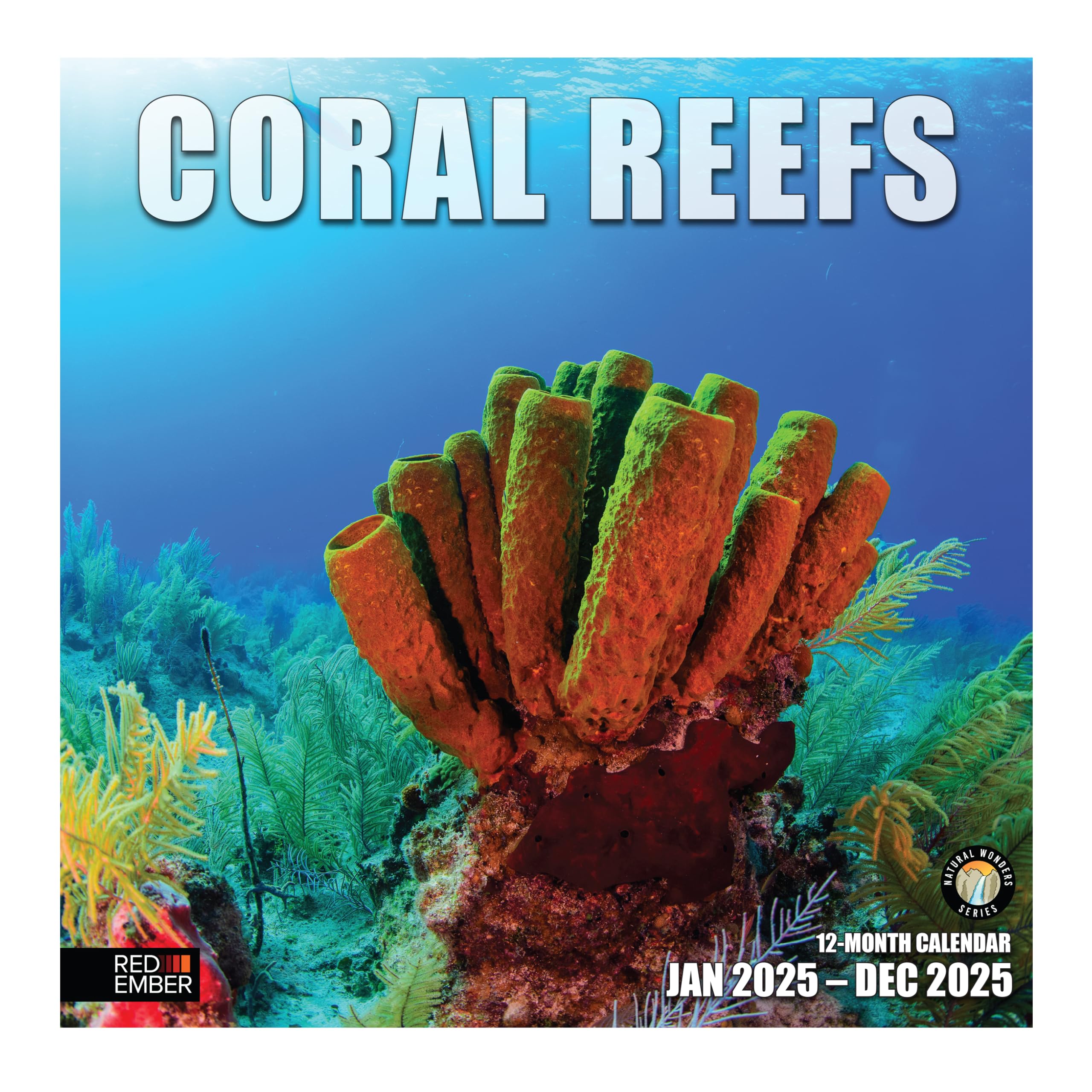 Snapklik.com : Coral Reefs 2025 Wall Calendar 12 Month 12" X 24" Open ...
