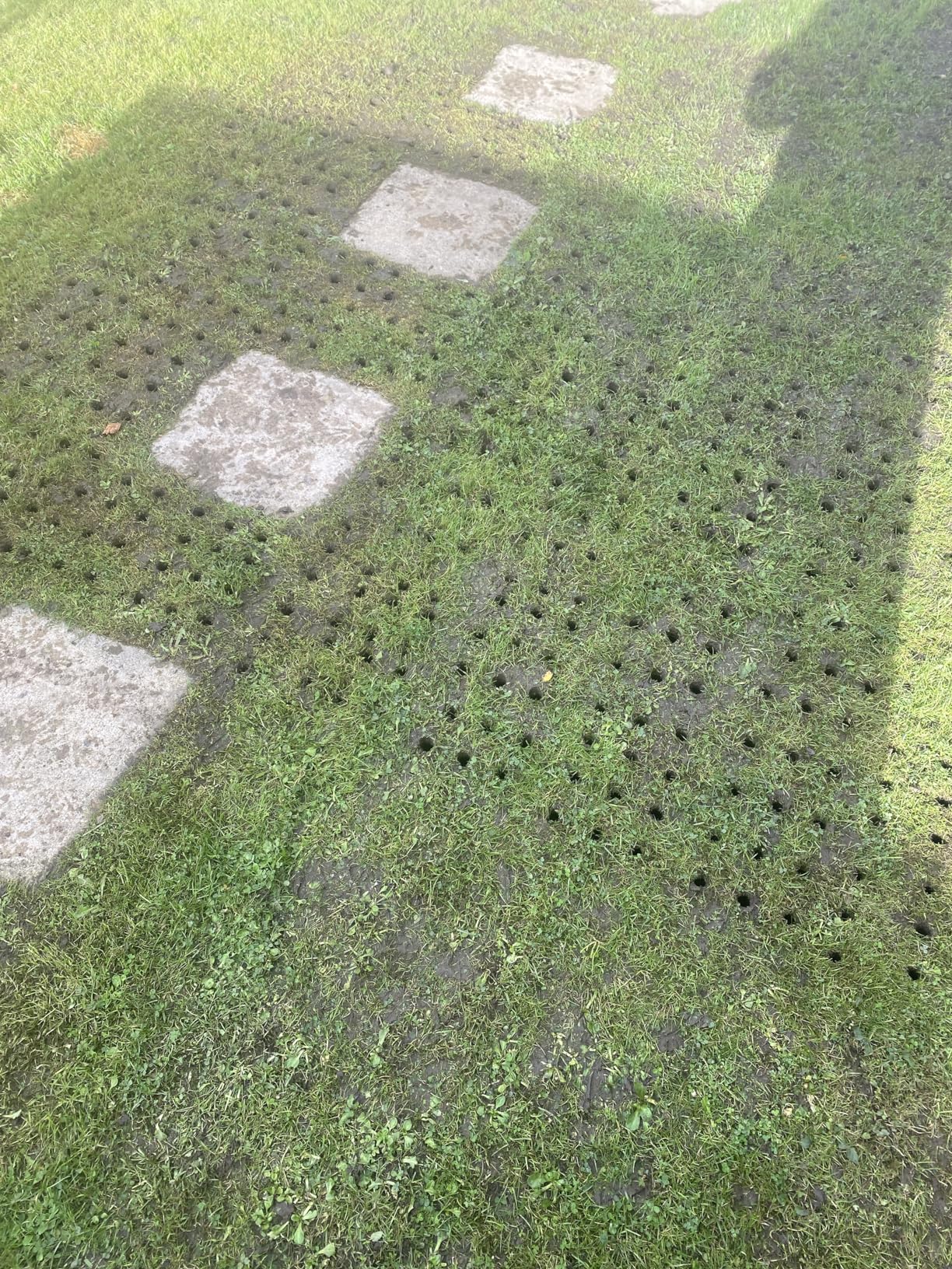 vanpein Lawn Aerator, Coring Manual Hollow Tine Aerator with Soil ...