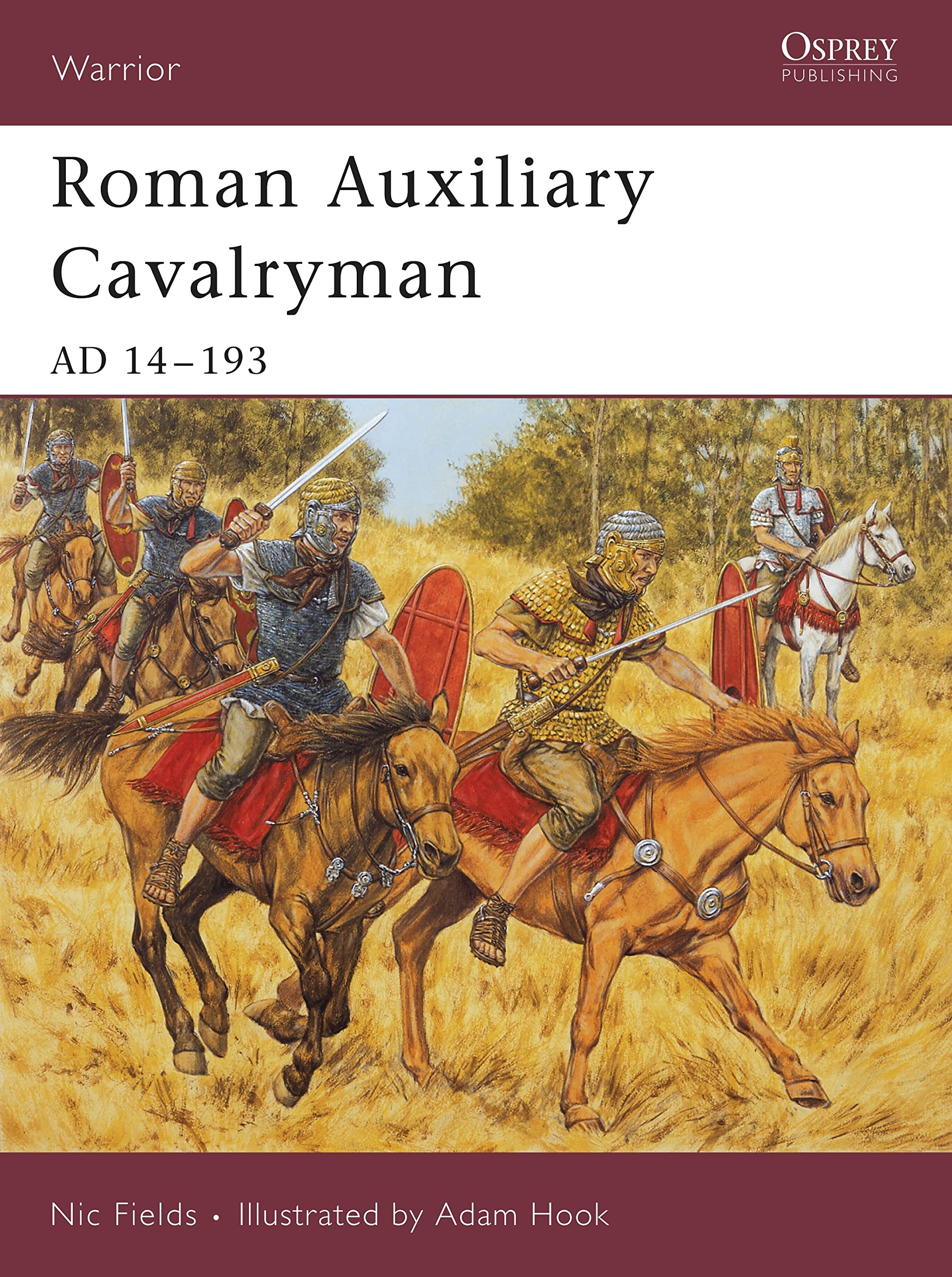 Roman Auxiliary Cavalryman: AD 14–193 (Warrior, 101): Fields, Nic, Hook ...