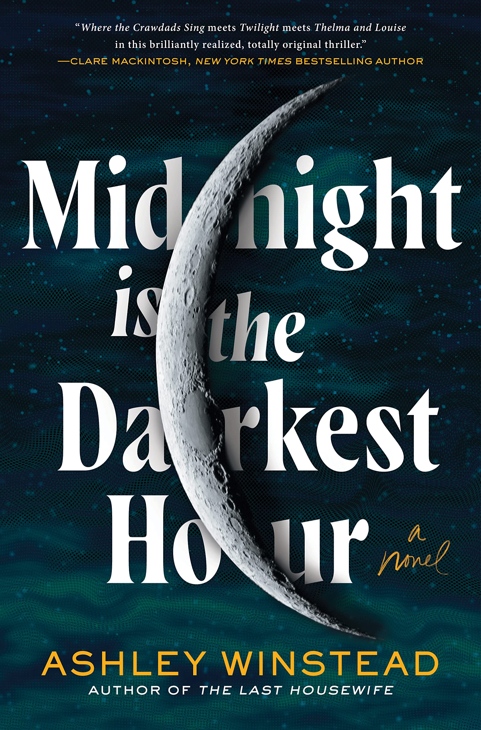 Amazon.com: Midnight Is the Darkest Hour: A Novel: 9781728269962 ...