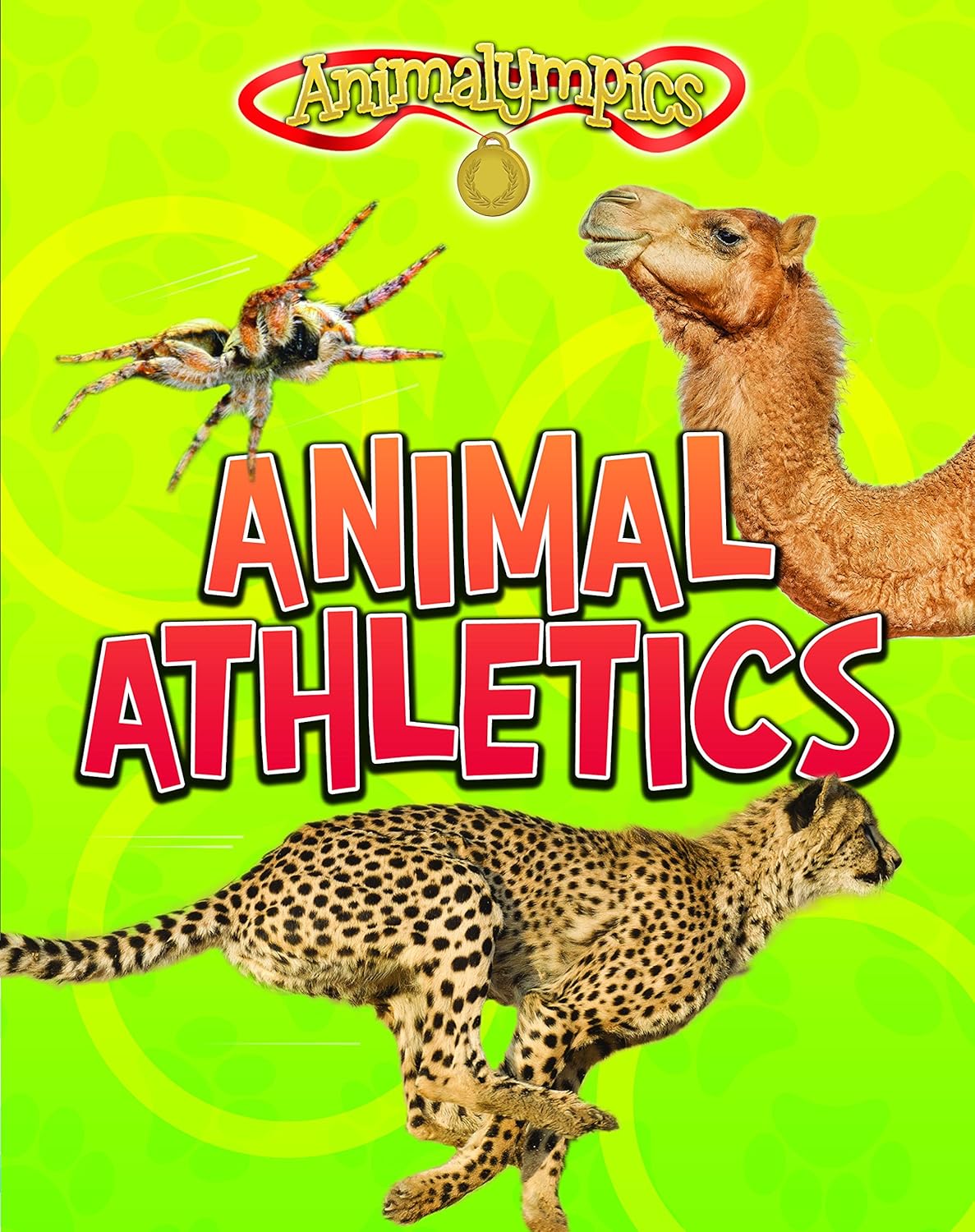 Animal Athletics (Read Me!: Animalympics): Isabel Thomas: 9781474713597 ...