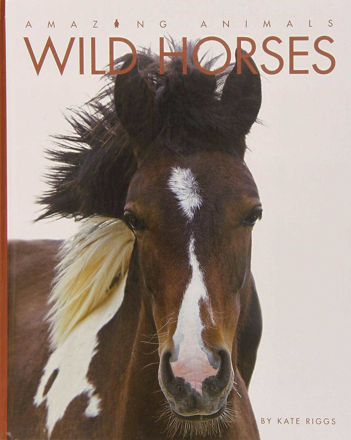 Wild Horses (Amazing Animals): Riggs, Kate: 9781608184934: Amazon.com: Books
